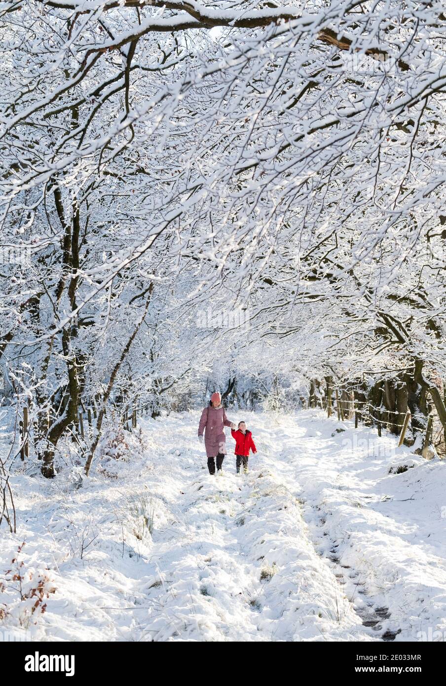 Alison harris hi-res stock photography and images - Alamy