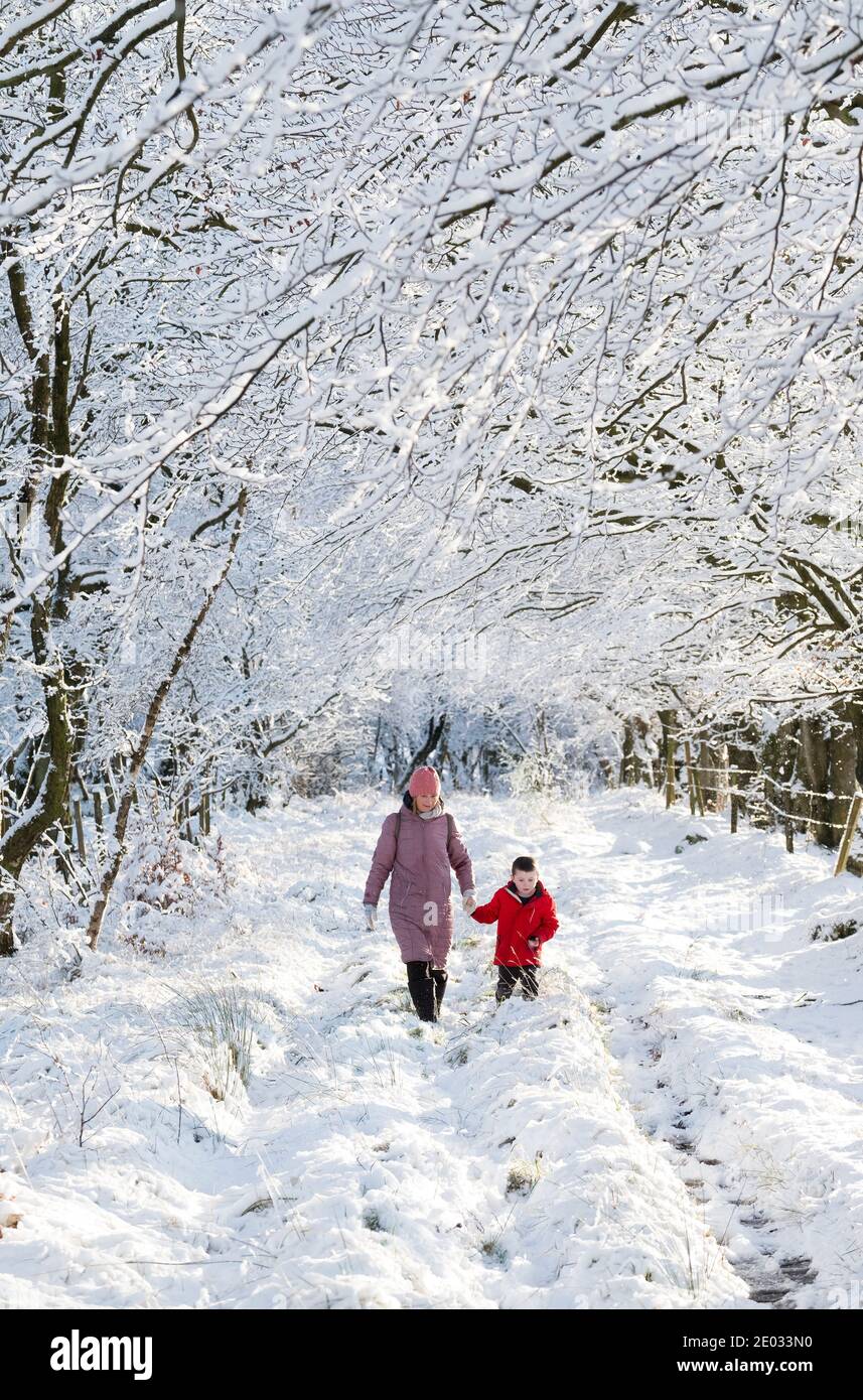 Alison harris hi-res stock photography and images - Alamy