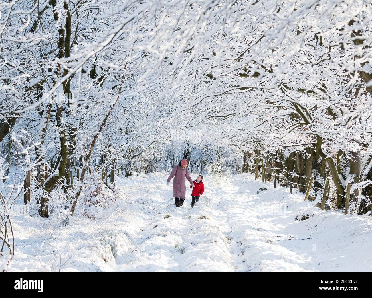 Alison harris hi-res stock photography and images - Alamy