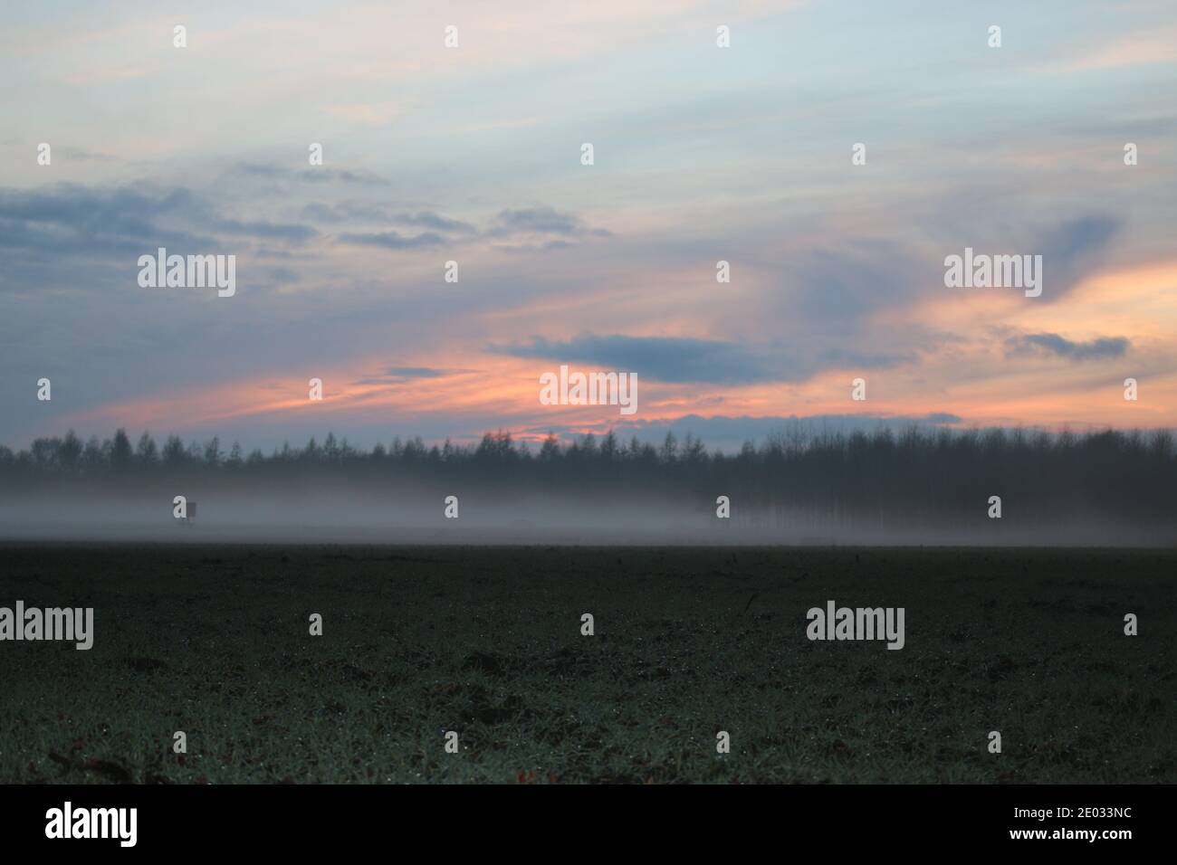 Landscape in the evening with fog and sunset Stock Photo - Alamy