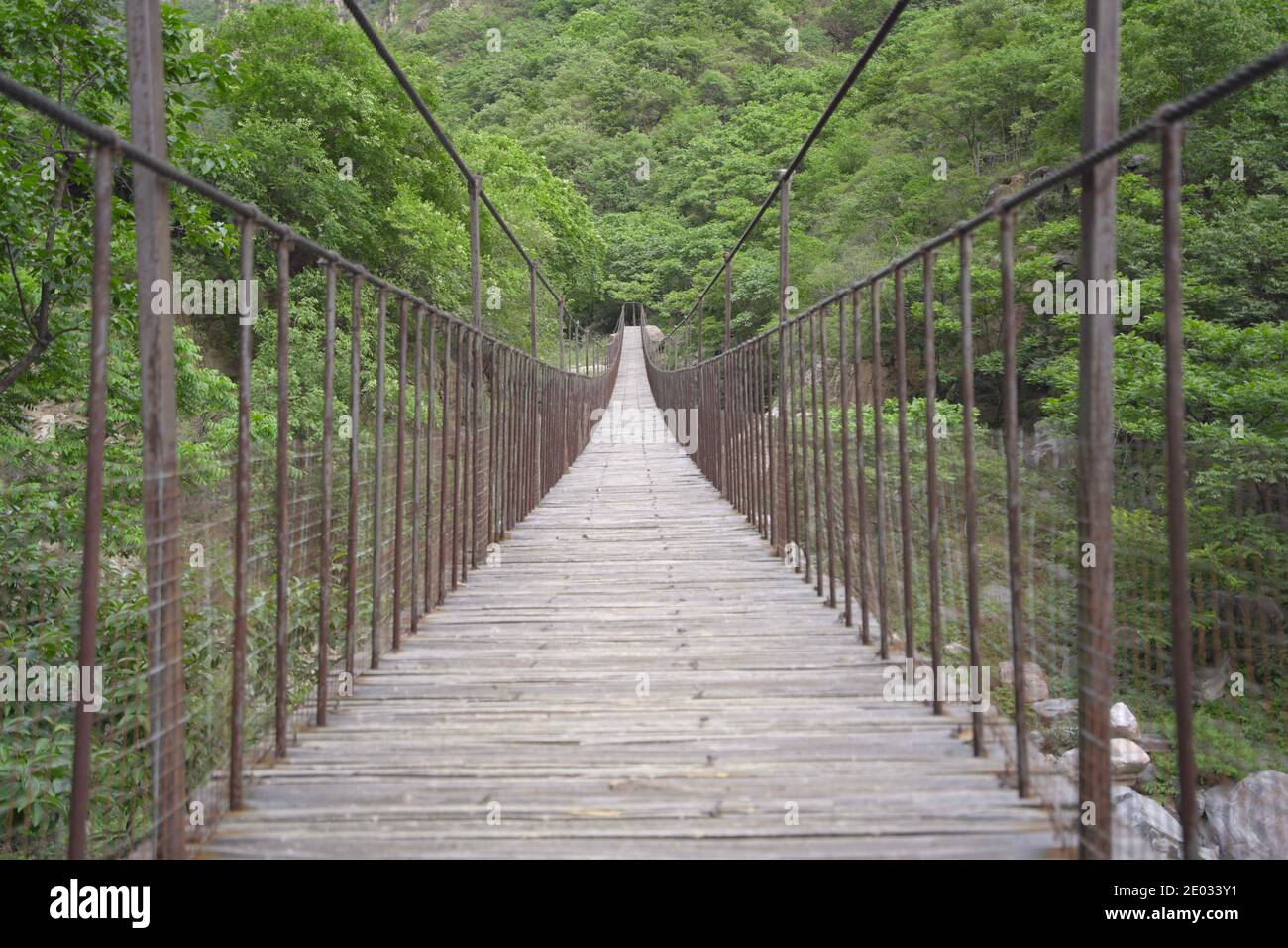Rope bridge in the green forest in mountain Stock Photo - Alamy