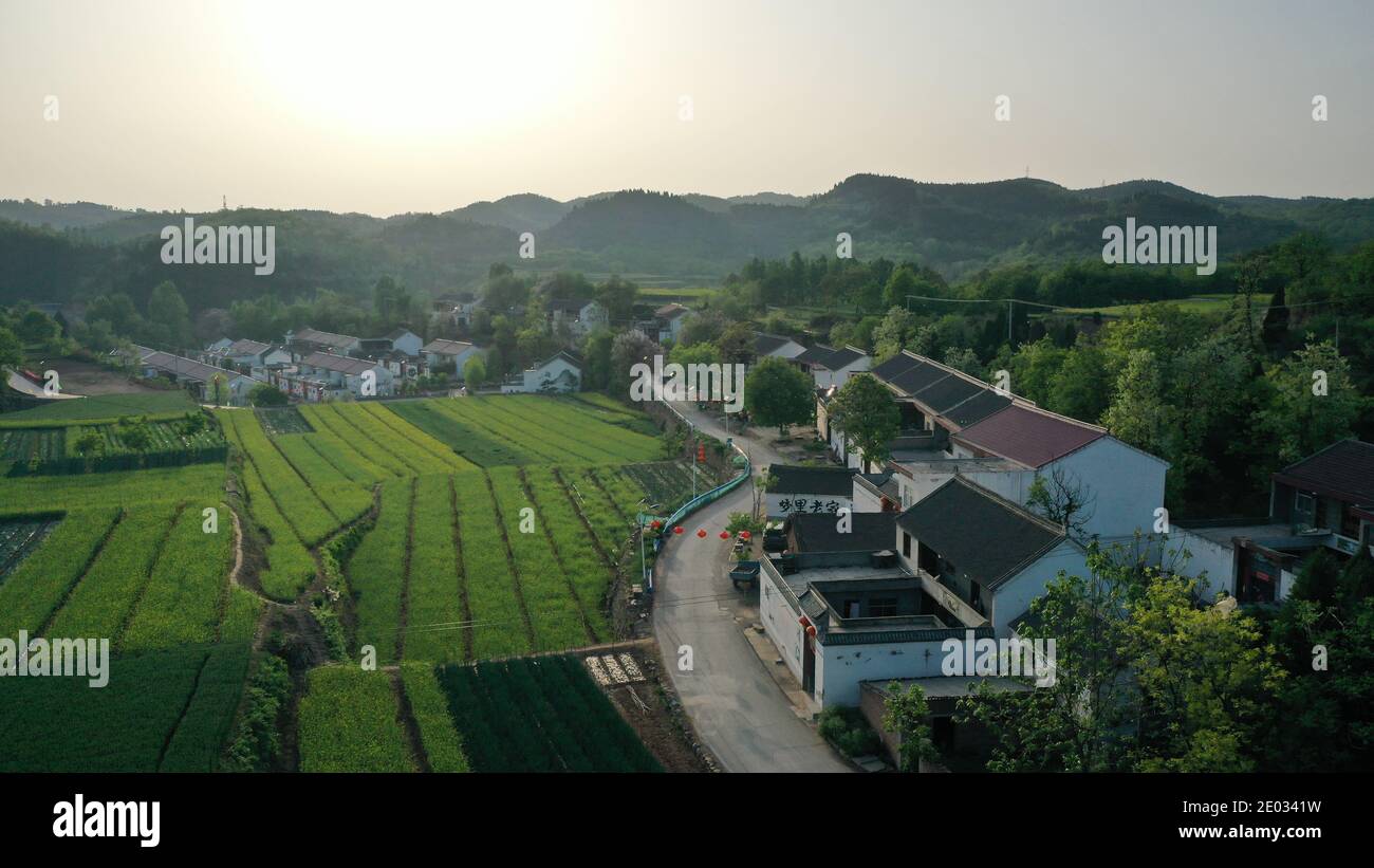 Beautiful rural sunset landscape, green hills and farmland, picture ...