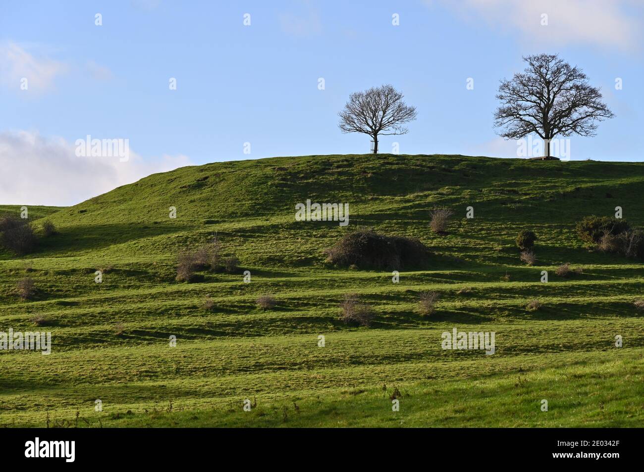 Remains of a ridge and furrow farming system can be seen on a slope ...