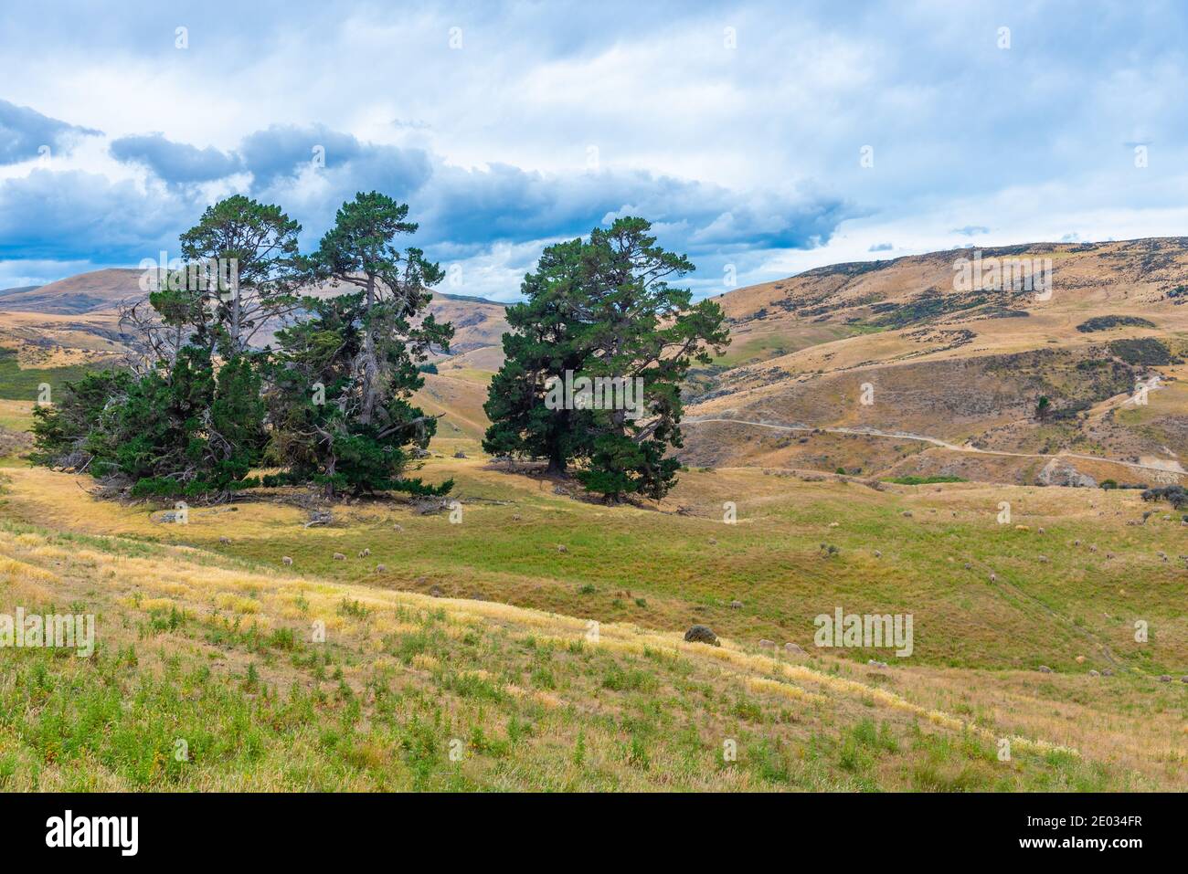 Landscape of Otago region viewed from Central Otago Railway bicycle ...