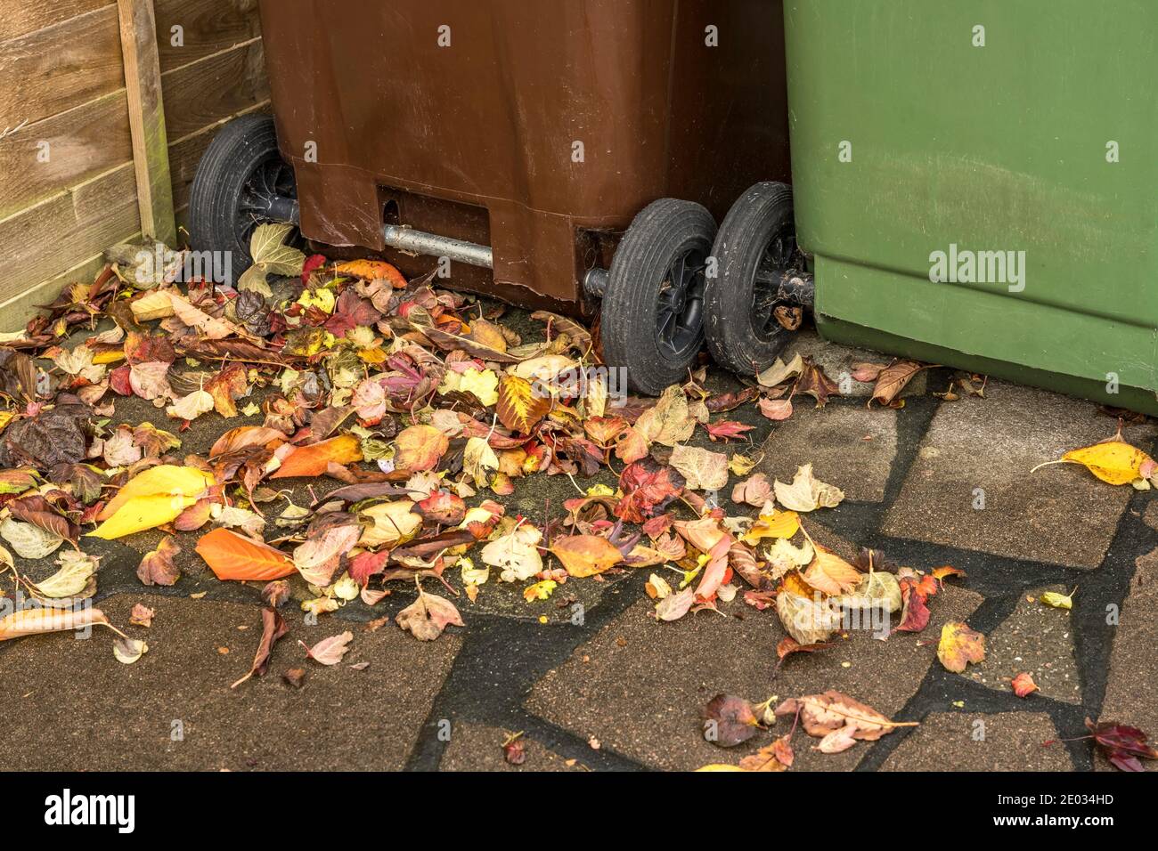 Autumn fall on driveway Stock Photo - Alamy