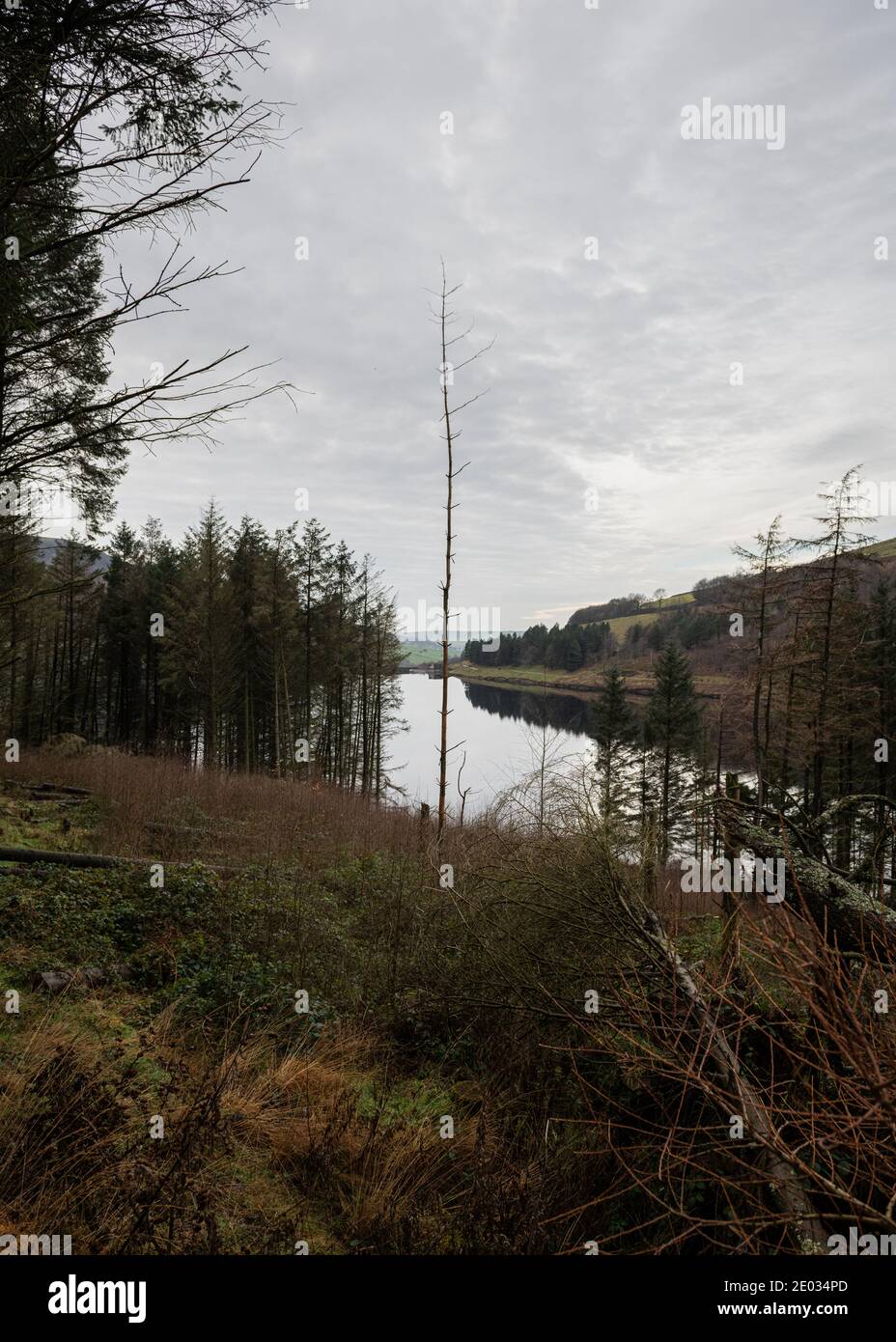 View of Dovestones reservoir Stock Photo - Alamy