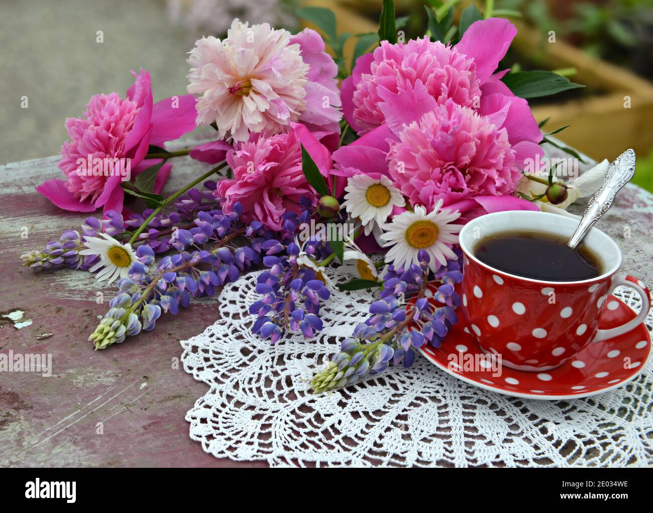 Still life with red cup of tea and beautiful bunch of peony and lupin ...