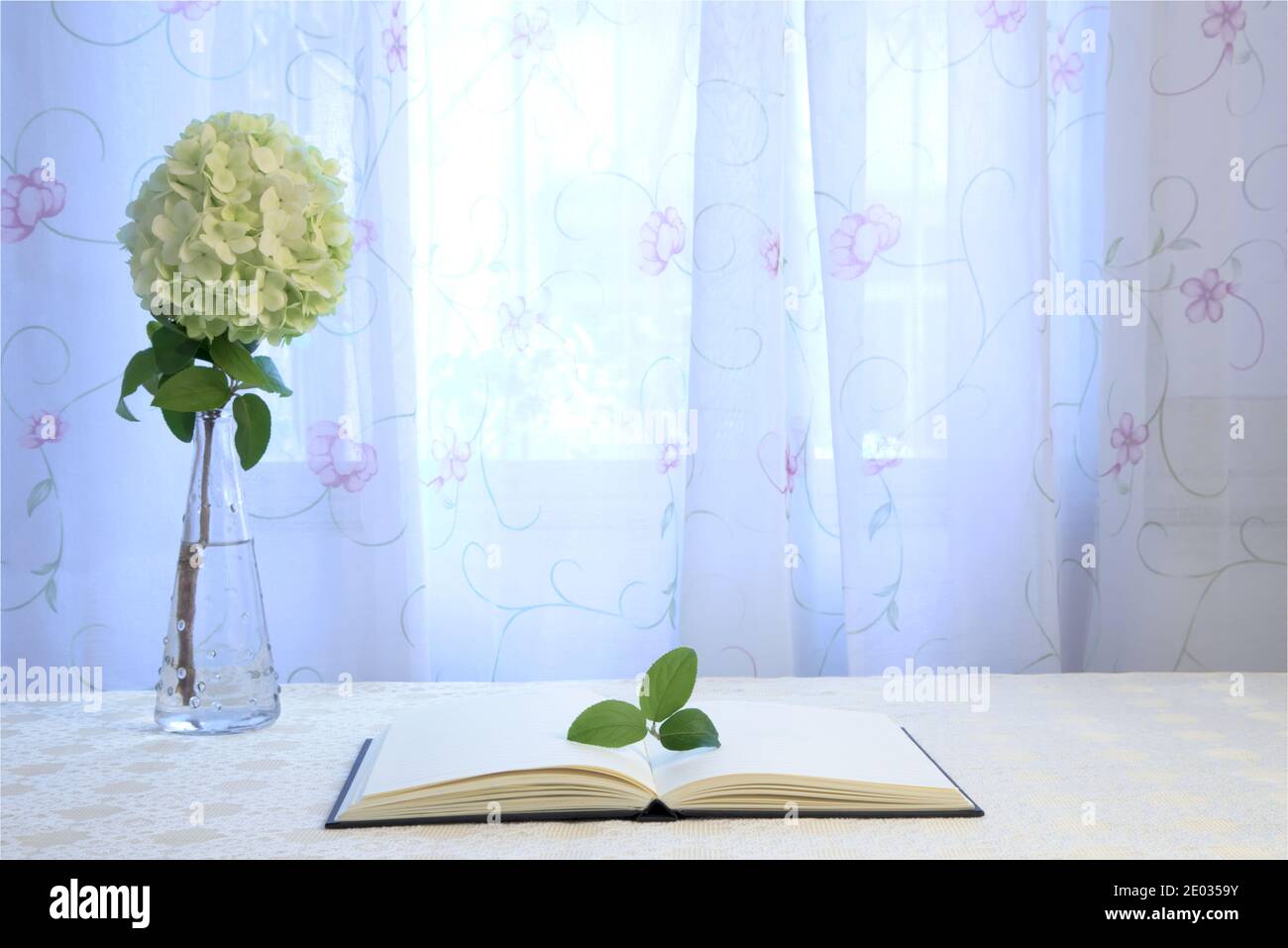 Concept of home office desk in front of the window. Snow ball bouquet ...