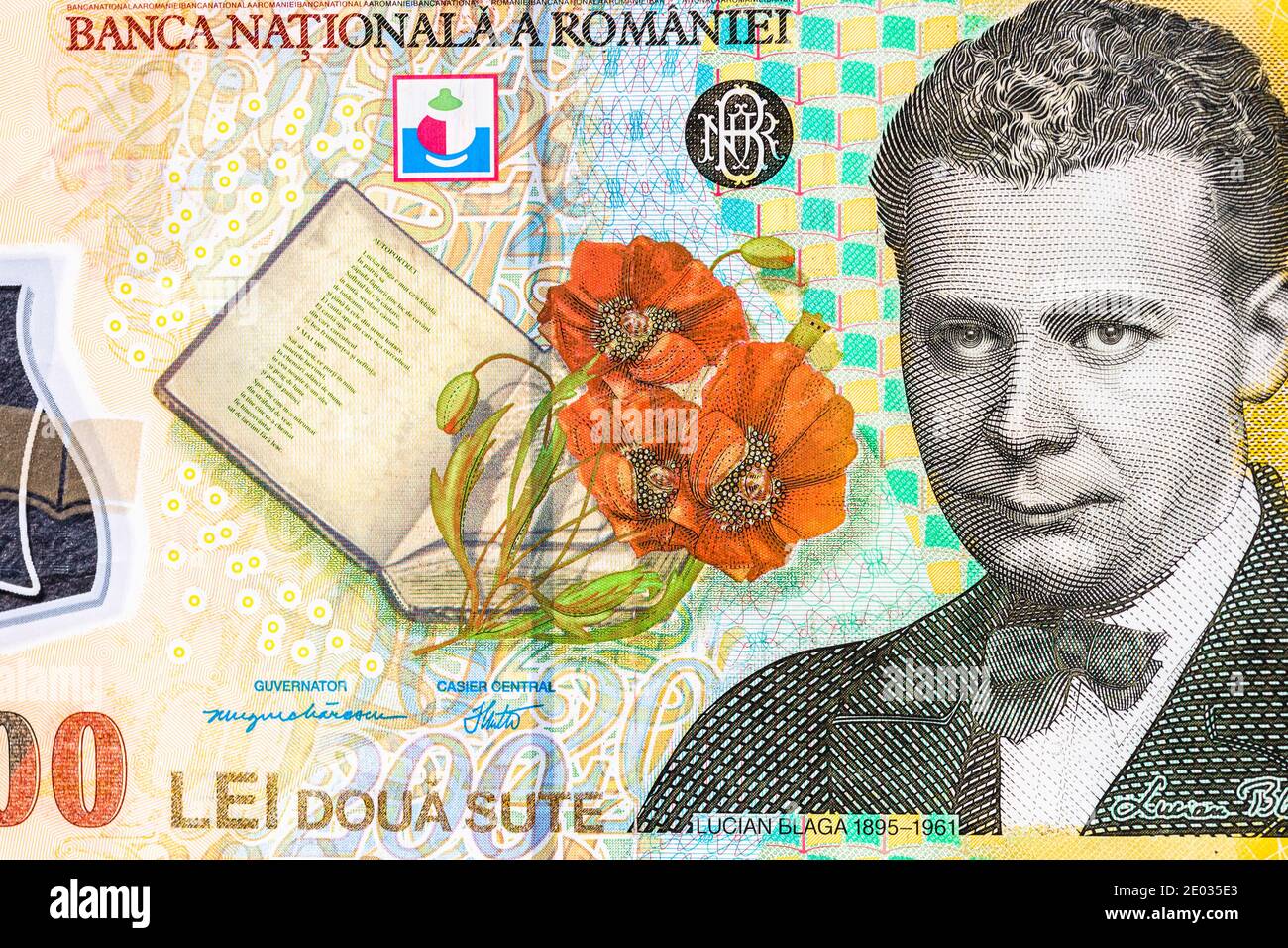 Selective focus on detail of lei banknotes. Close up macro detail of ...