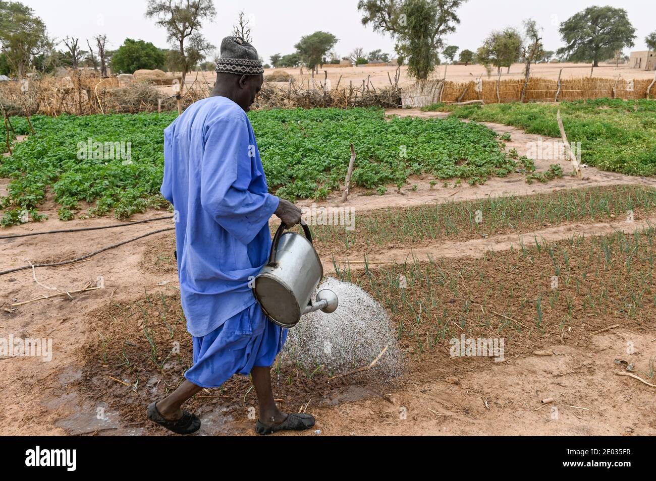 Feldarbeit africa hi-res stock photography and images - Alamy