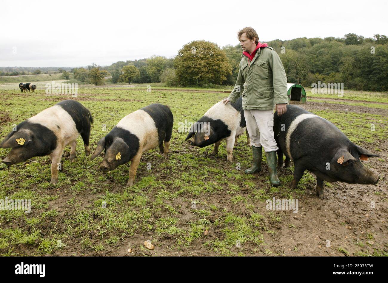 Jimmys farm ipswich hi-res stock photography and images - Alamy