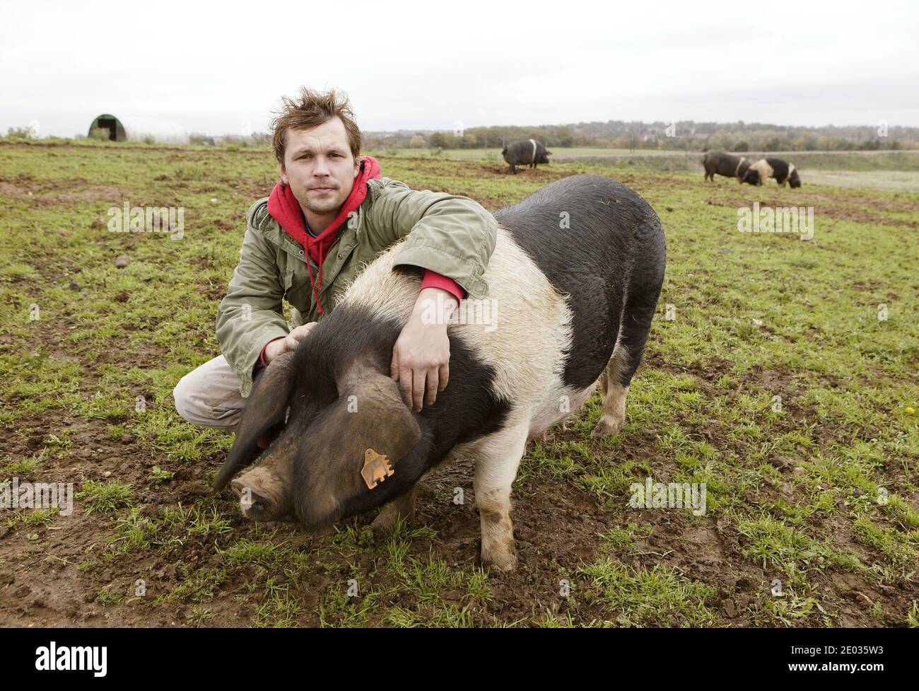 Jimmys Farm High Resolution Stock Photography and Images - Alamy