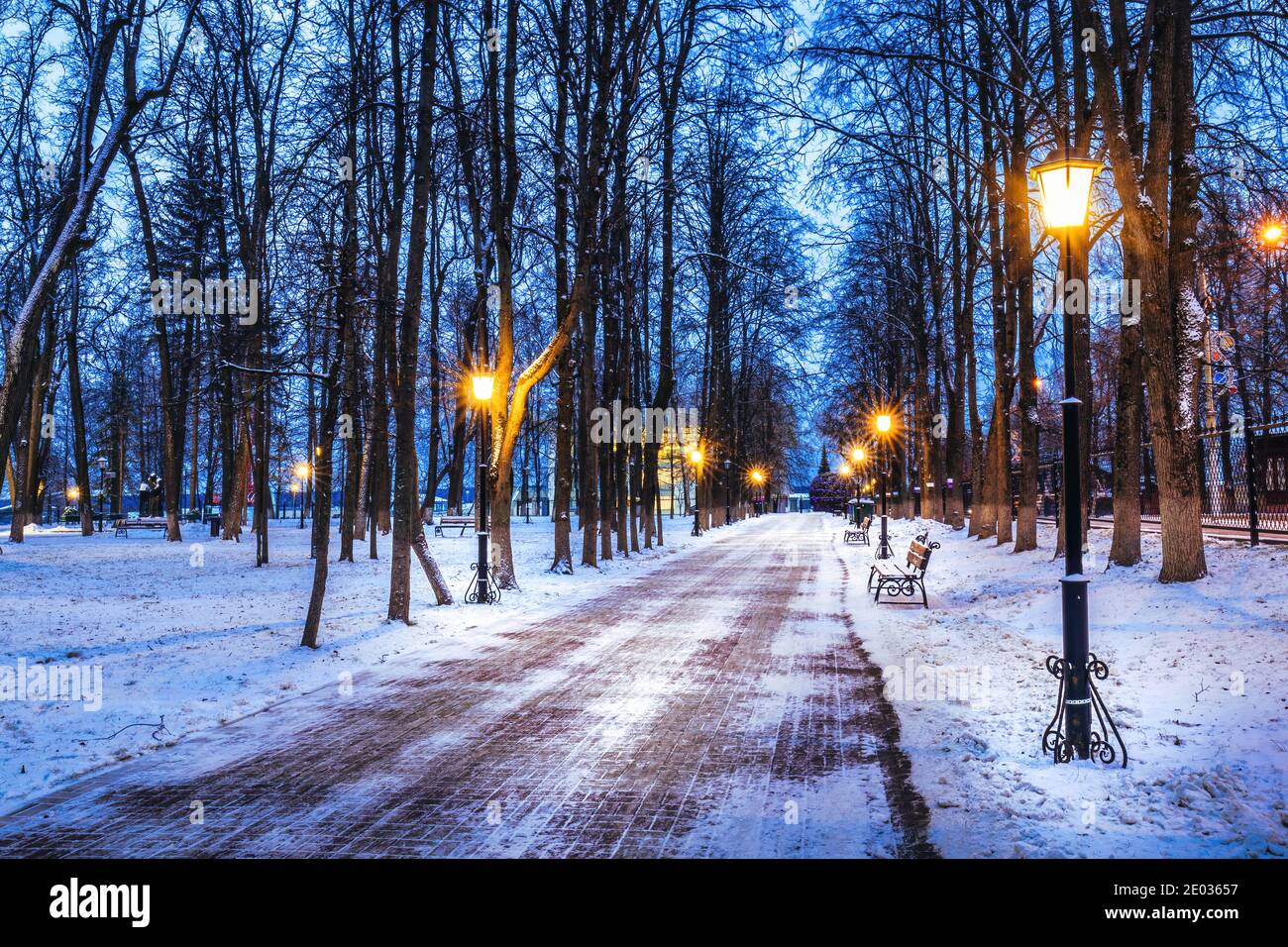 Winter park at night with lanterns, benches and trees covered with a ...