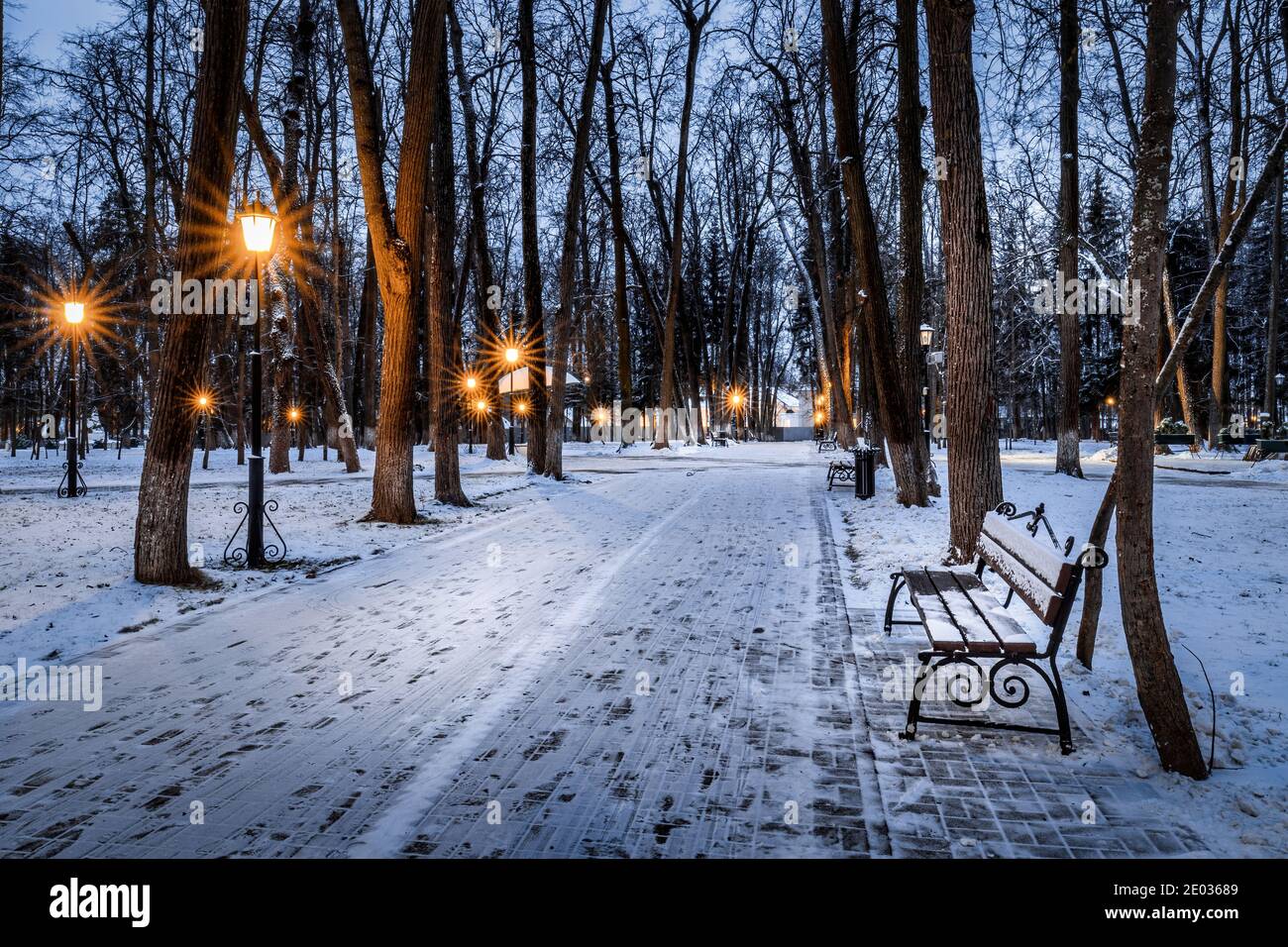 Winter park at night with lanterns, benches and trees covered with a ...
