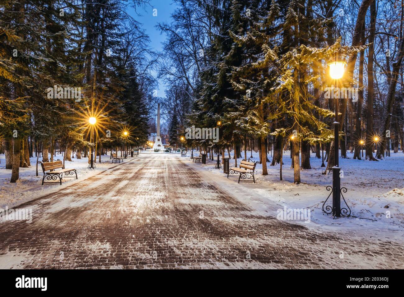 Winter park at night with lanterns, benches and trees covered with a ...