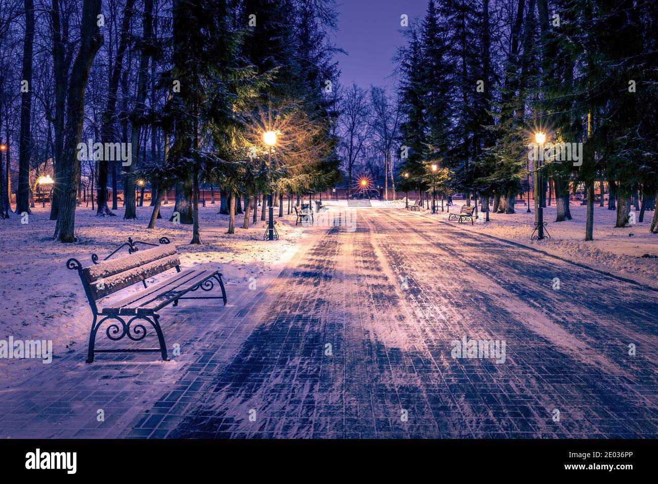 Winter park at night with lanterns, benches and trees covered with a ...