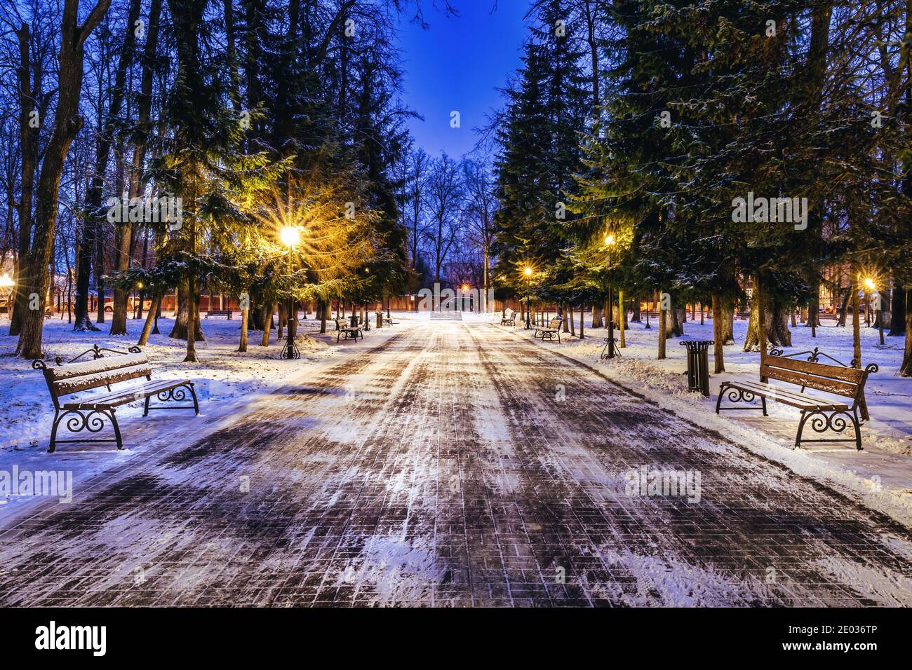 Winter park at night with lanterns, benches and trees covered with a ...