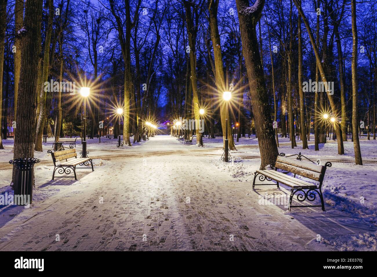 Winter park at night with lanterns, benches and trees covered with a ...