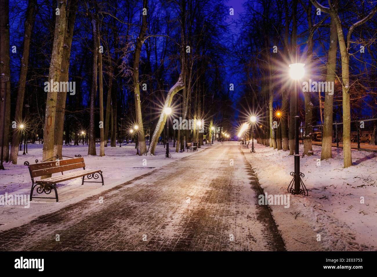 Winter park at night with lanterns, benches and trees covered with a ...