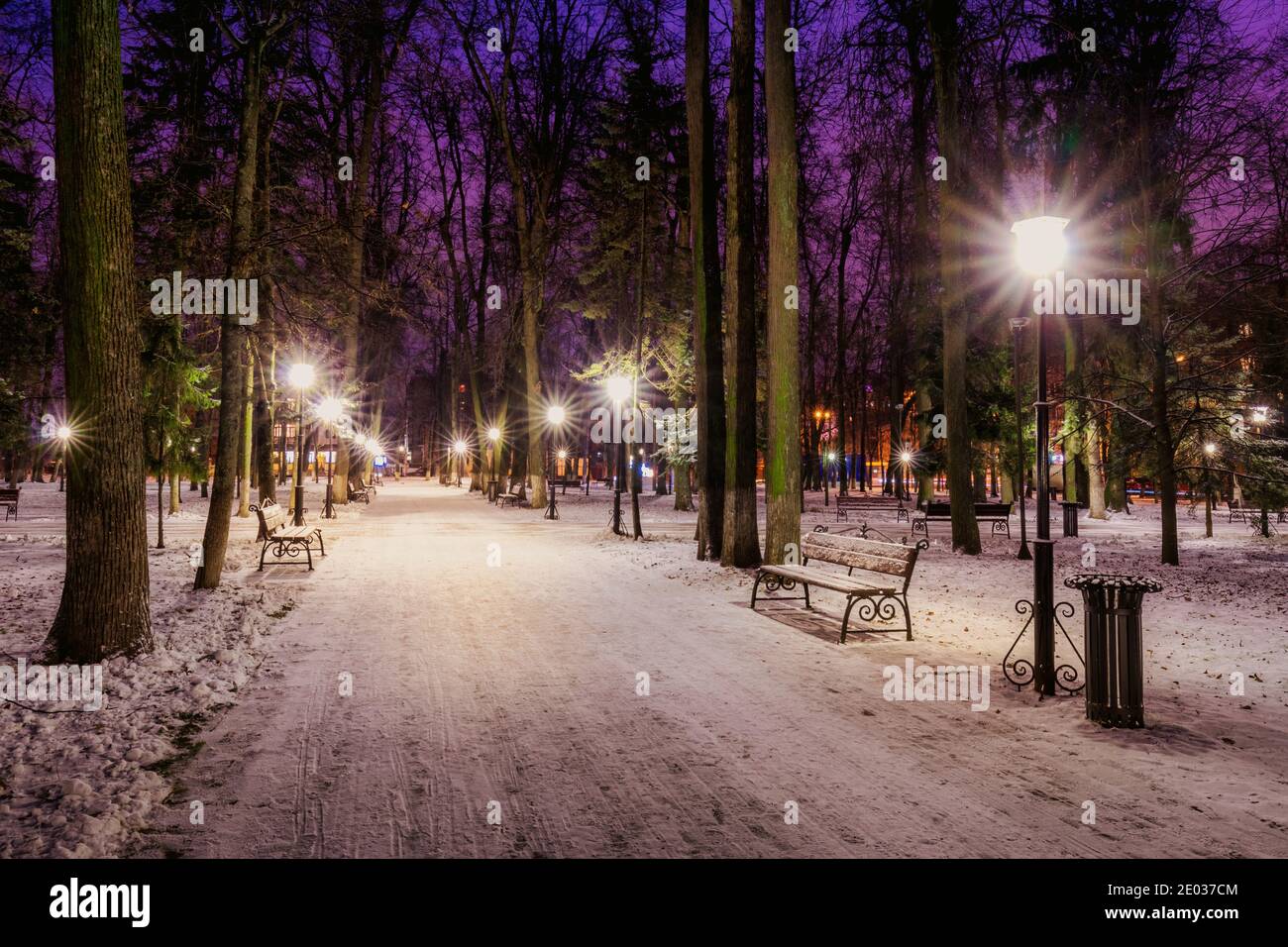 Winter park at night with lanterns, benches and trees covered with a ...
