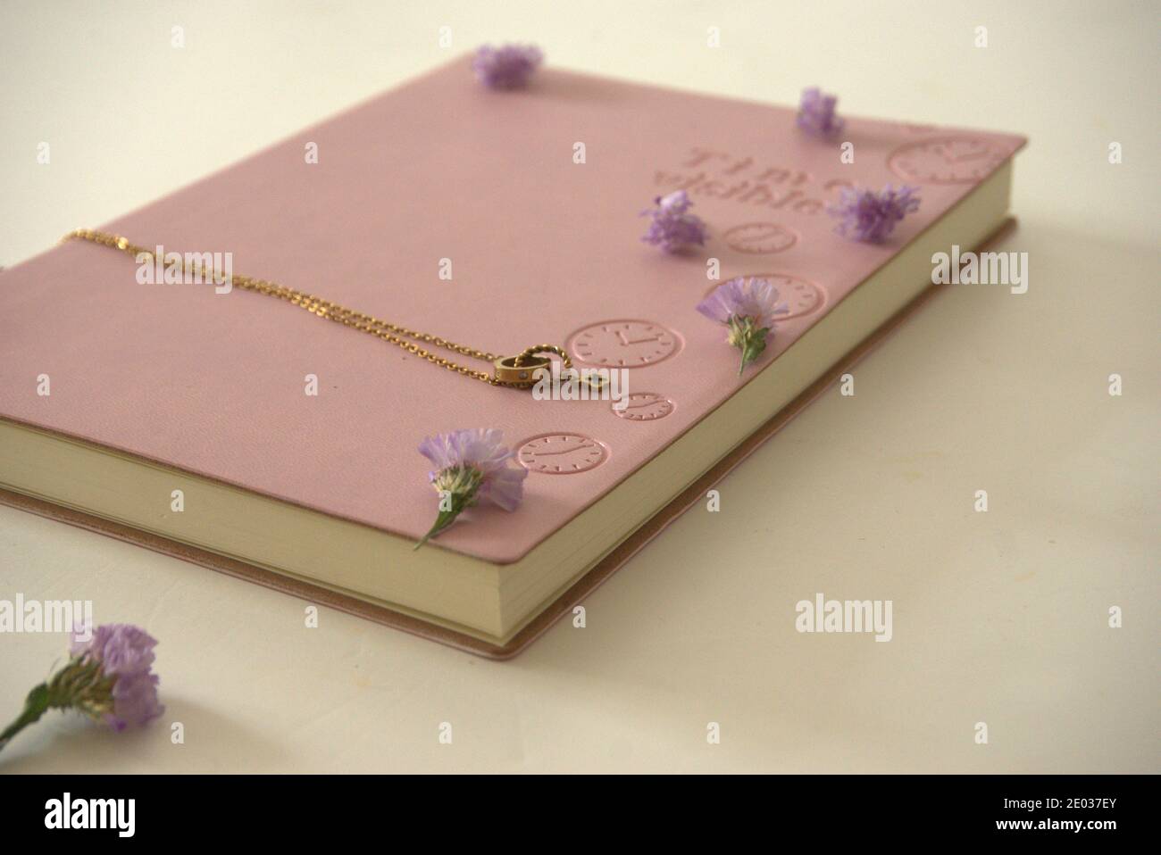 Girlish diary hi-res stock photography and images - Alamy