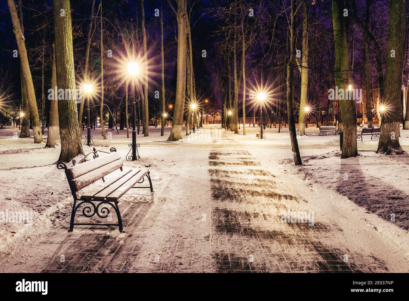 Winter park at night with lanterns, benches and trees covered with a ...