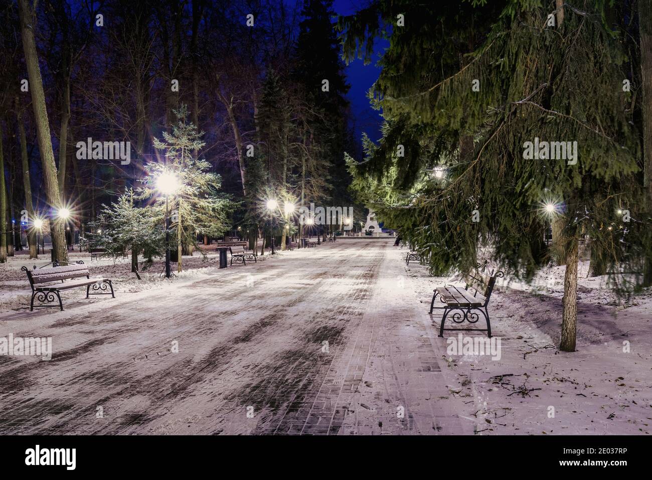 Winter park at night with lanterns, benches and trees covered with a ...