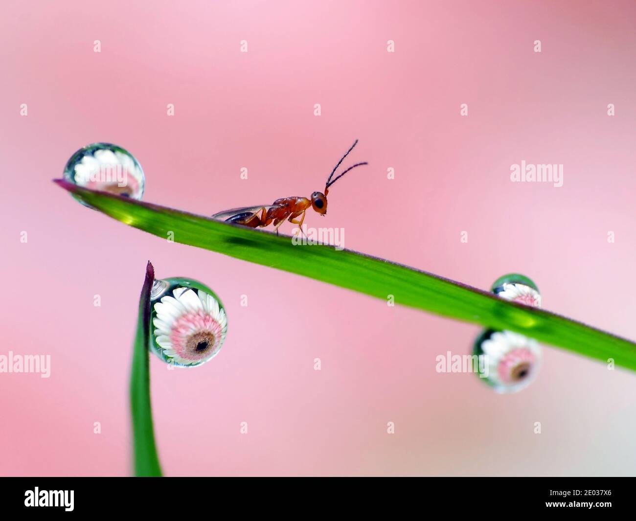 Under expose hi-res stock photography and images - Alamy