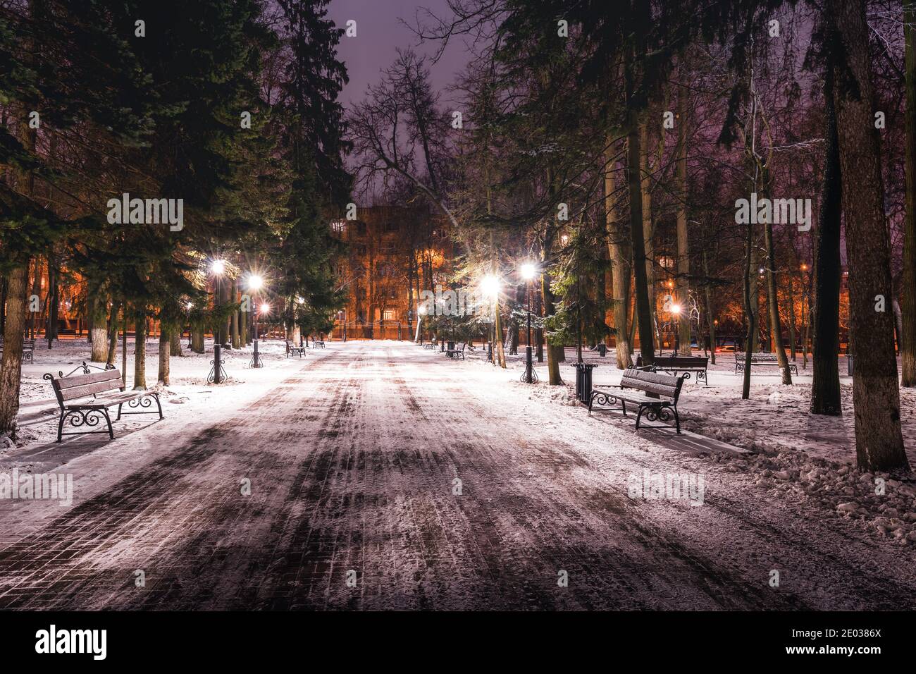 Winter park at night with lanterns, benches and trees covered with a ...