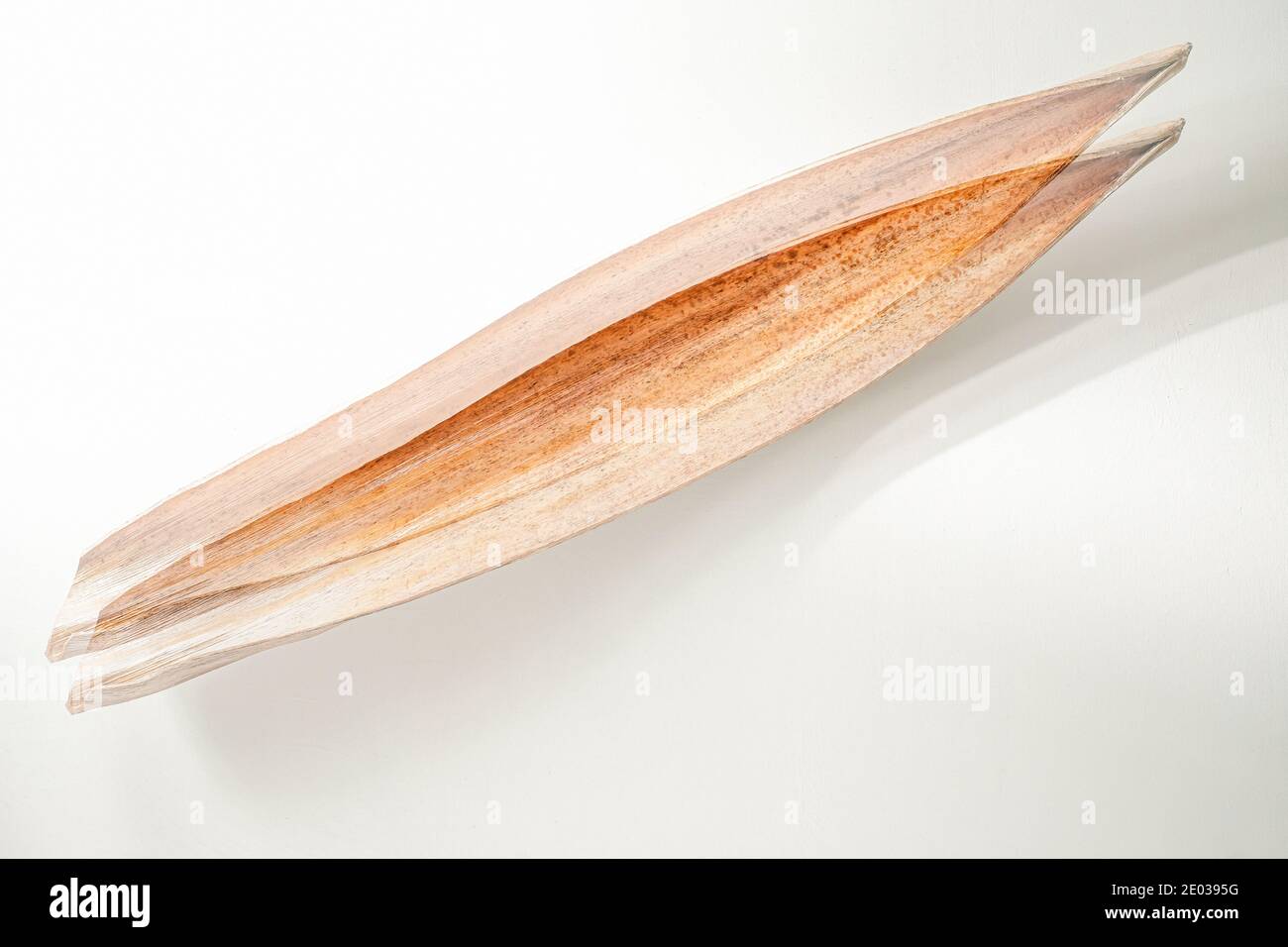 palm leaf, isolated on white background, multiple exposure Stock Photo ...