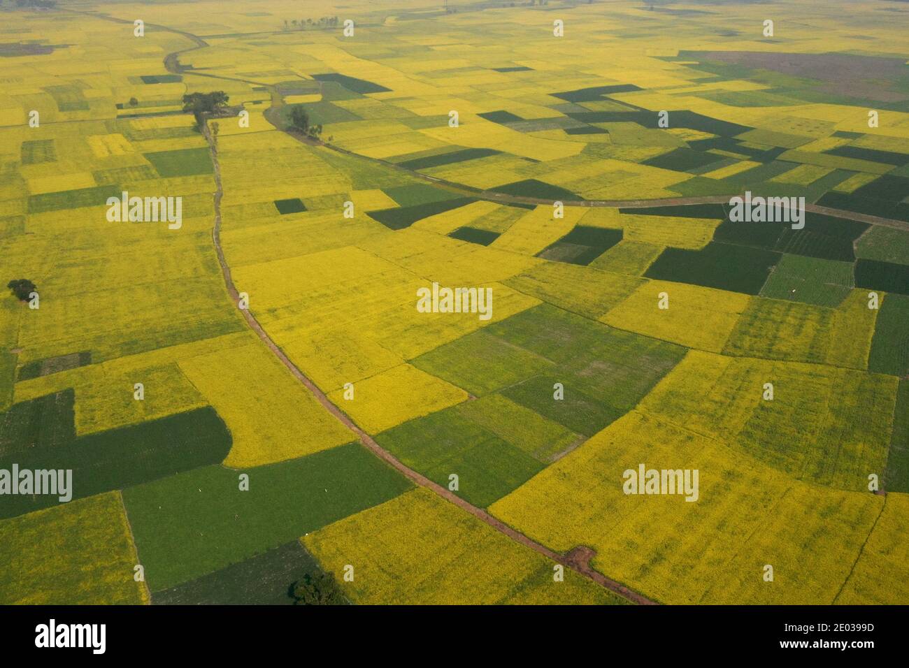 Bangladesh field aerial hi-res stock photography and images - Alamy