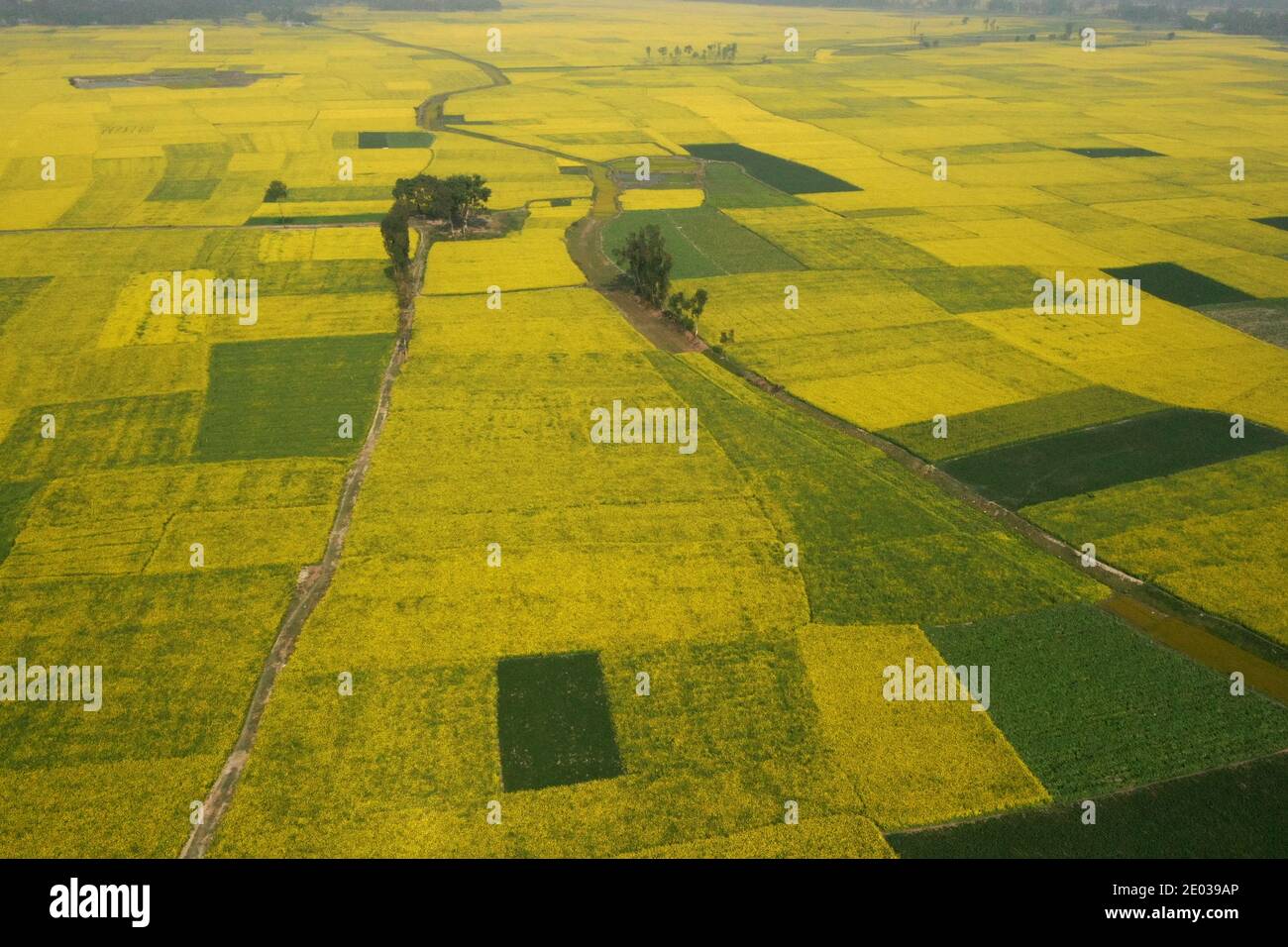 Ullapara High Resolution Stock Photography and Images - Alamy