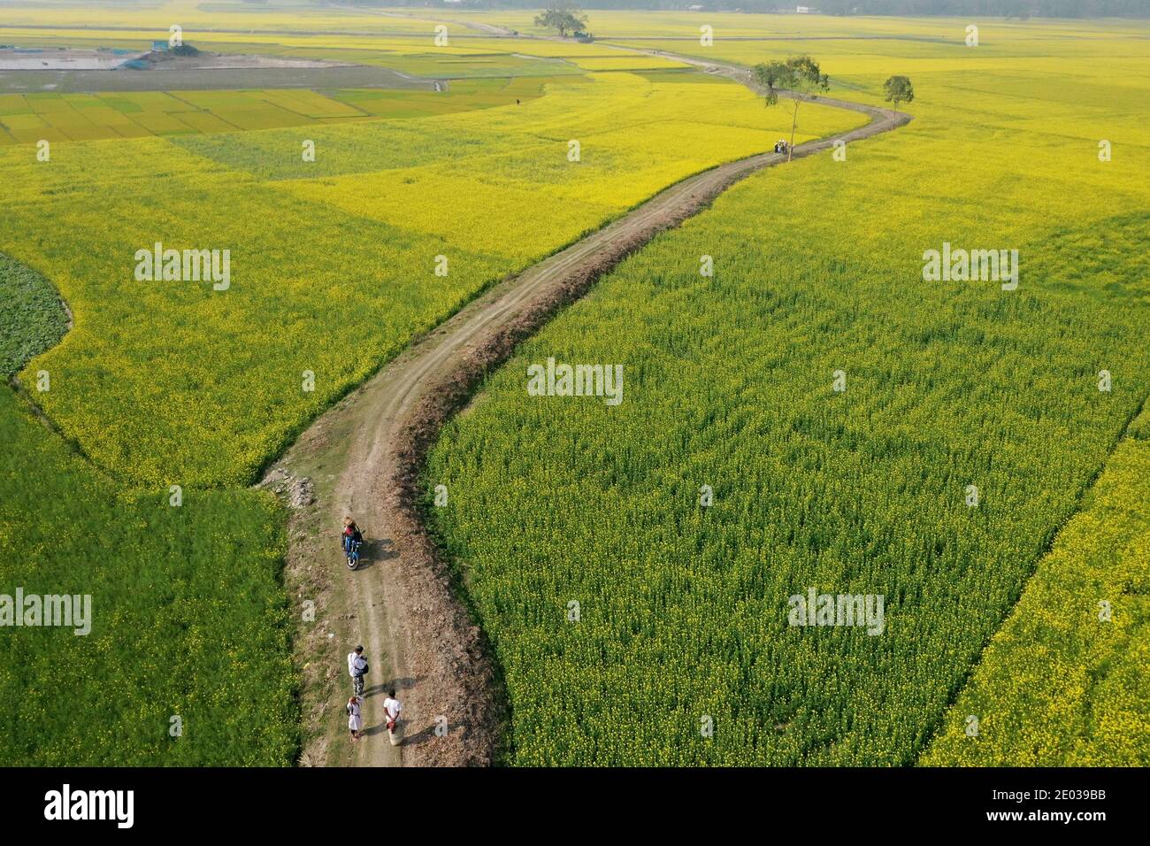 Ullapara hi-res stock photography and images - Alamy