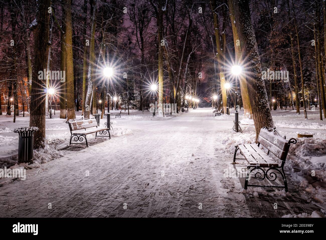 Winter park at night with lanterns, benches and trees covered with a ...
