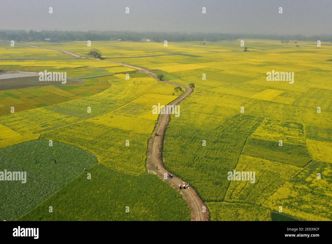 Ullapara hi-res stock photography and images - Alamy