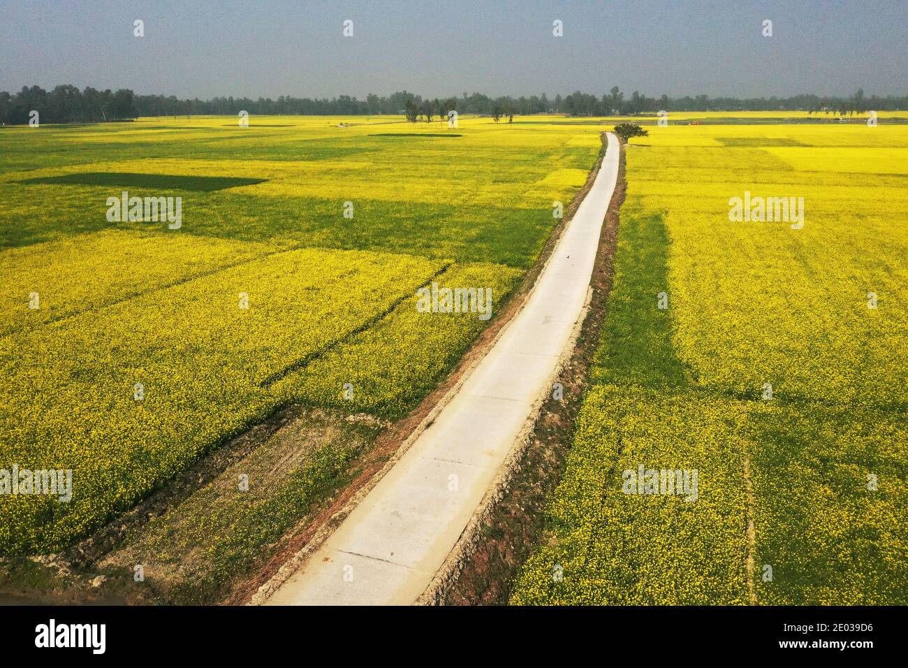 Ullapara hi-res stock photography and images - Alamy