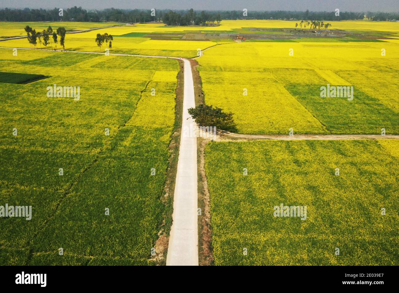 Ullapara hi-res stock photography and images - Alamy