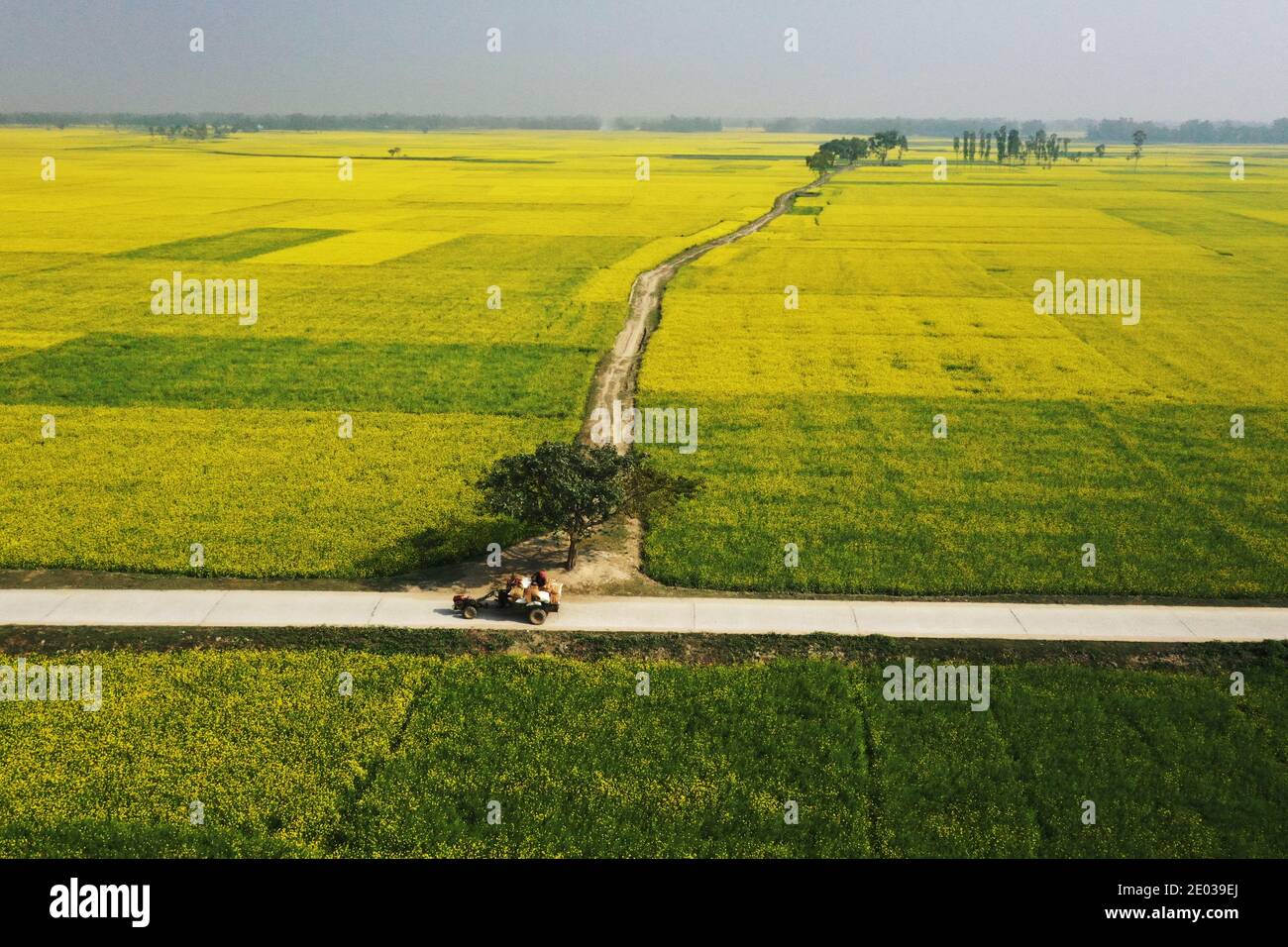 Ullapara High Resolution Stock Photography and Images - Alamy