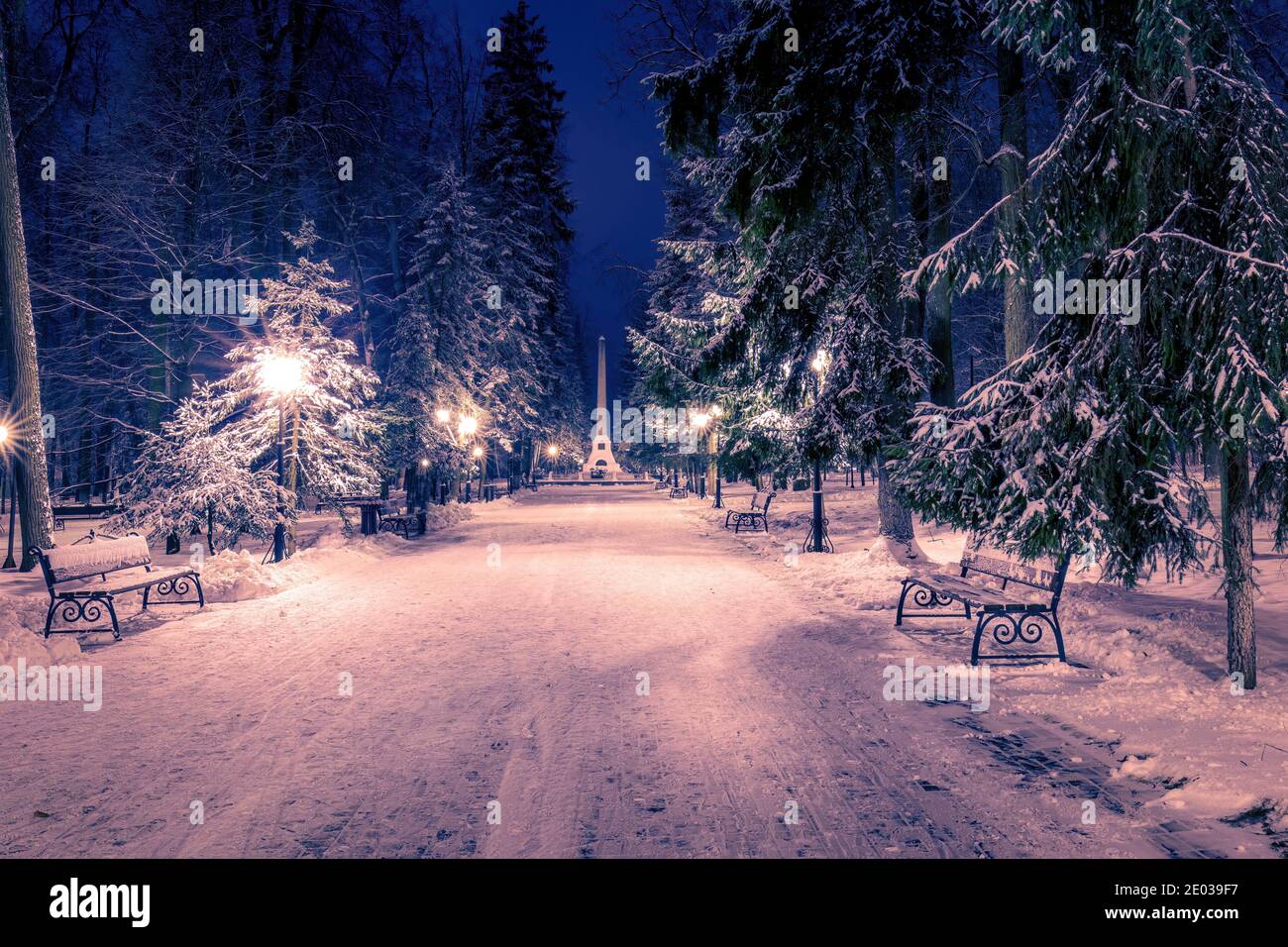 Winter park at night with lanterns, benches and trees covered with a ...
