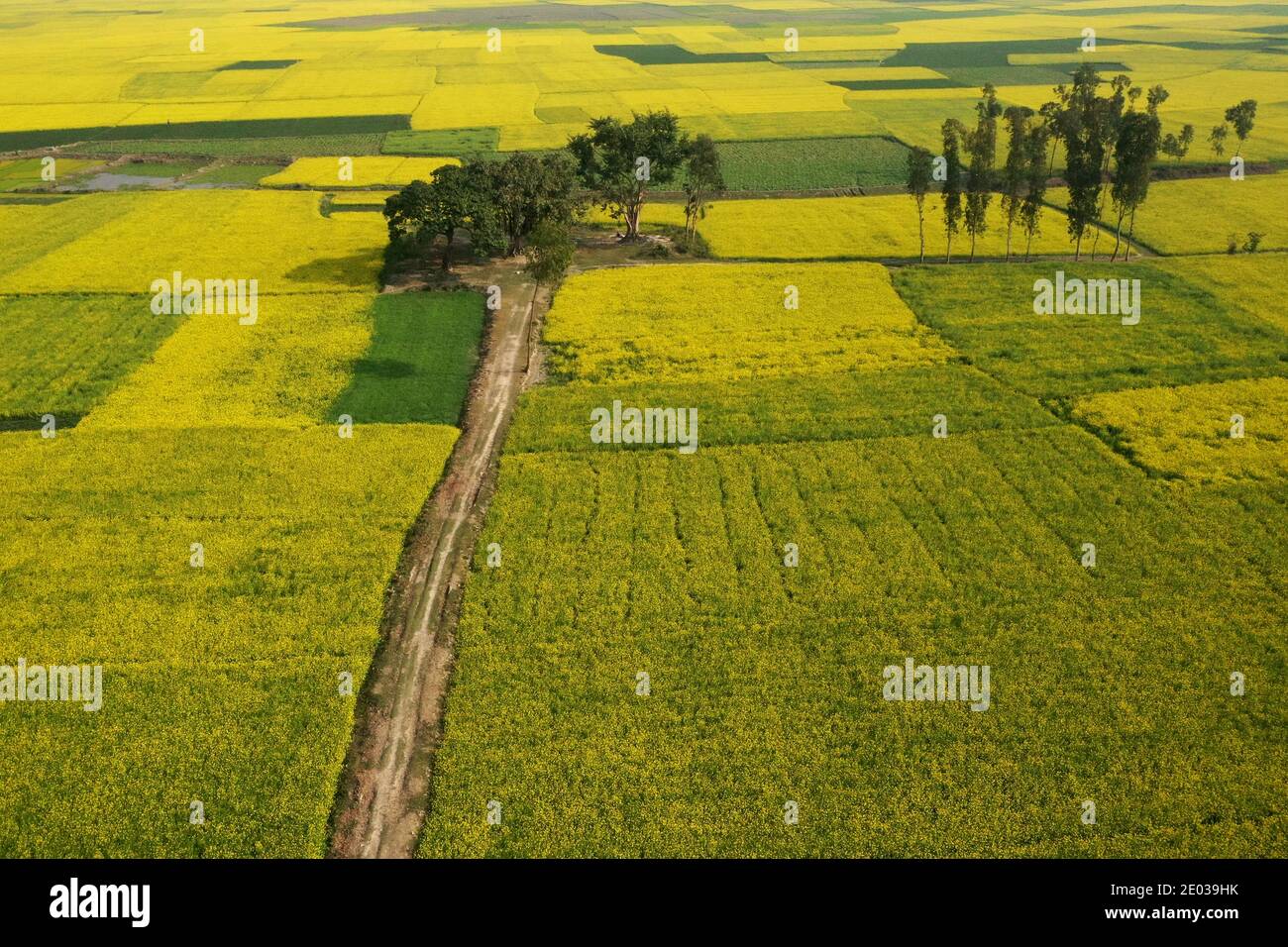 Ullapara hi-res stock photography and images - Alamy