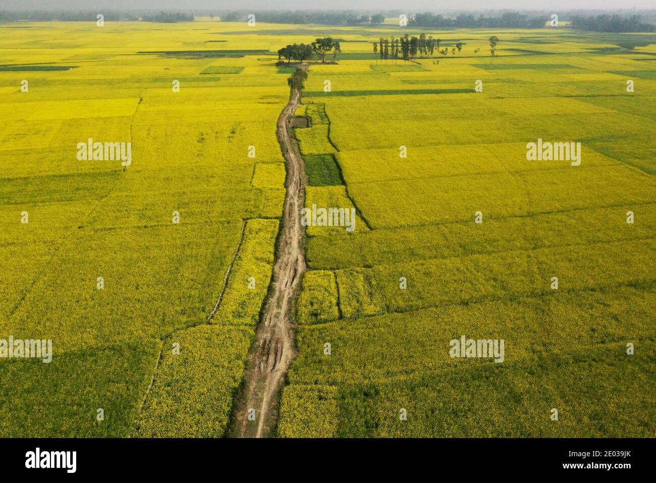 Ullapara High Resolution Stock Photography and Images - Alamy