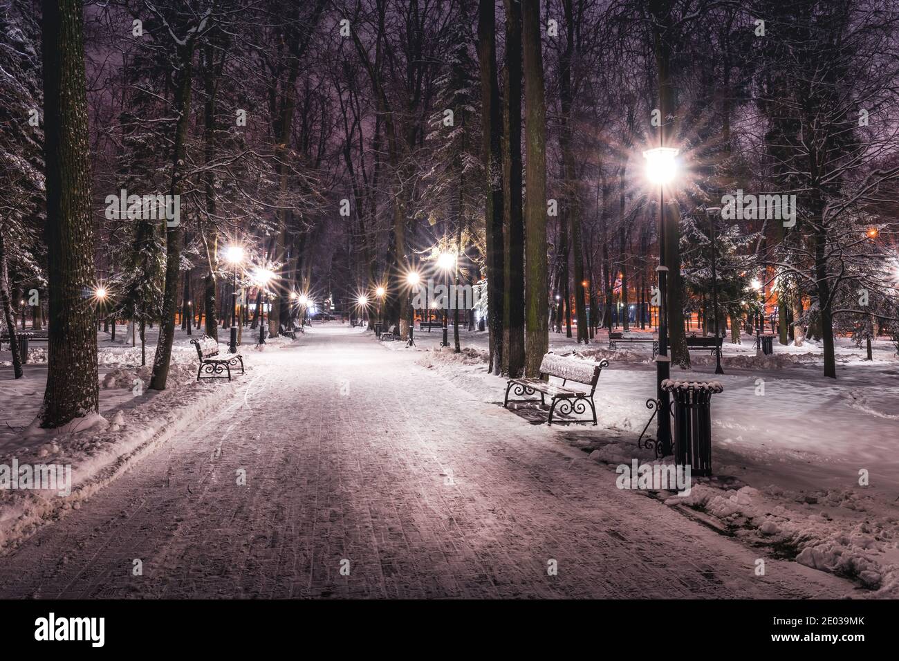 Winter park at night with lanterns, benches and trees covered with a ...
