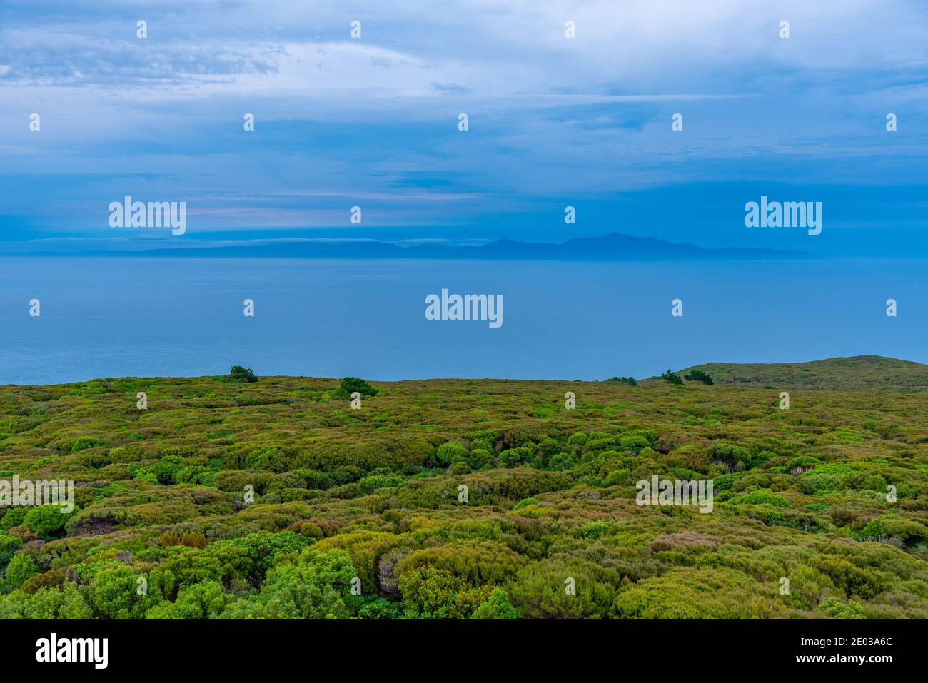 Silhouette of Stuart island in New Zealand Stock Photo - Alamy