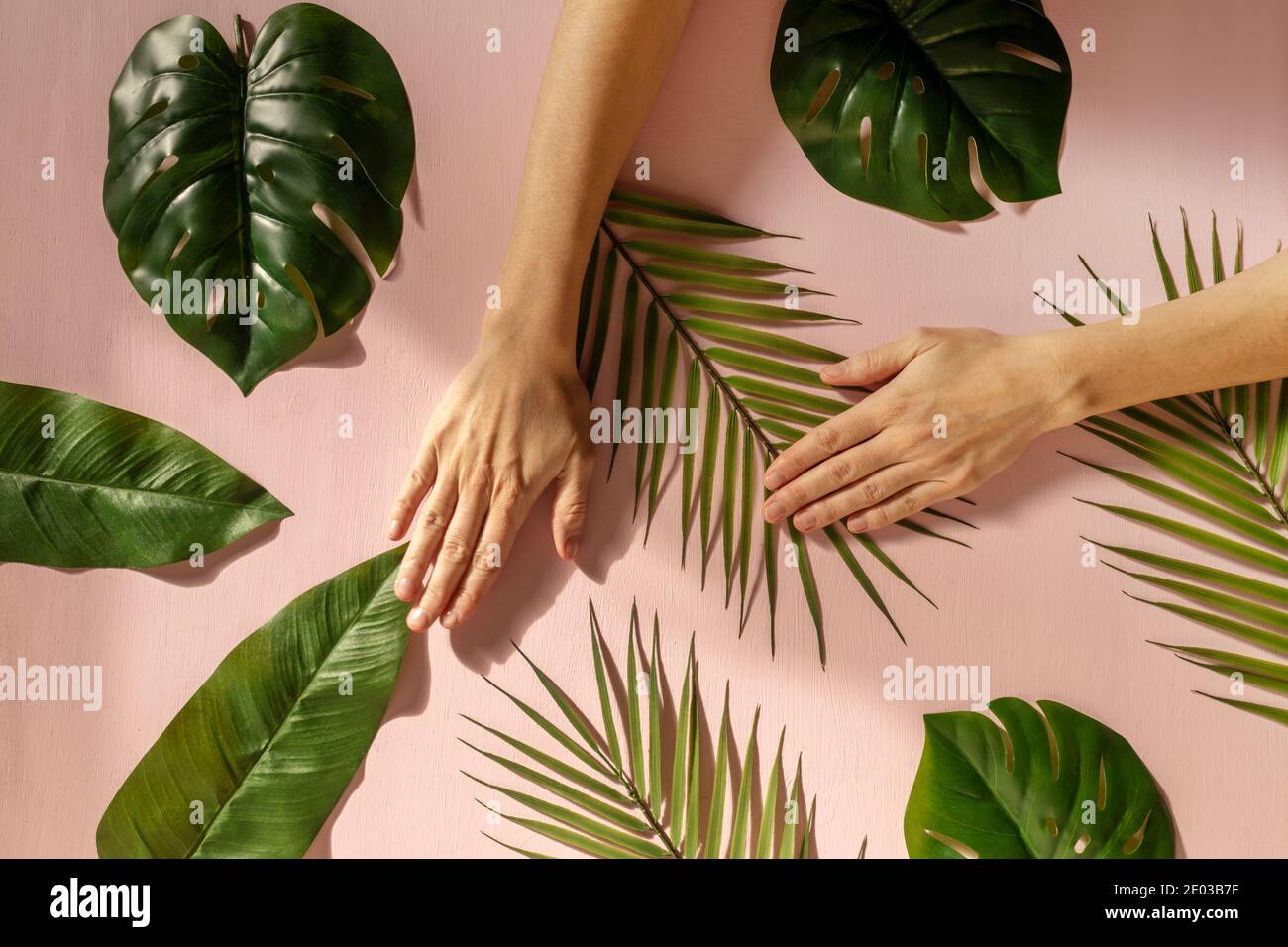 Beautiful female hands with natural manicure. Pink background with ...
