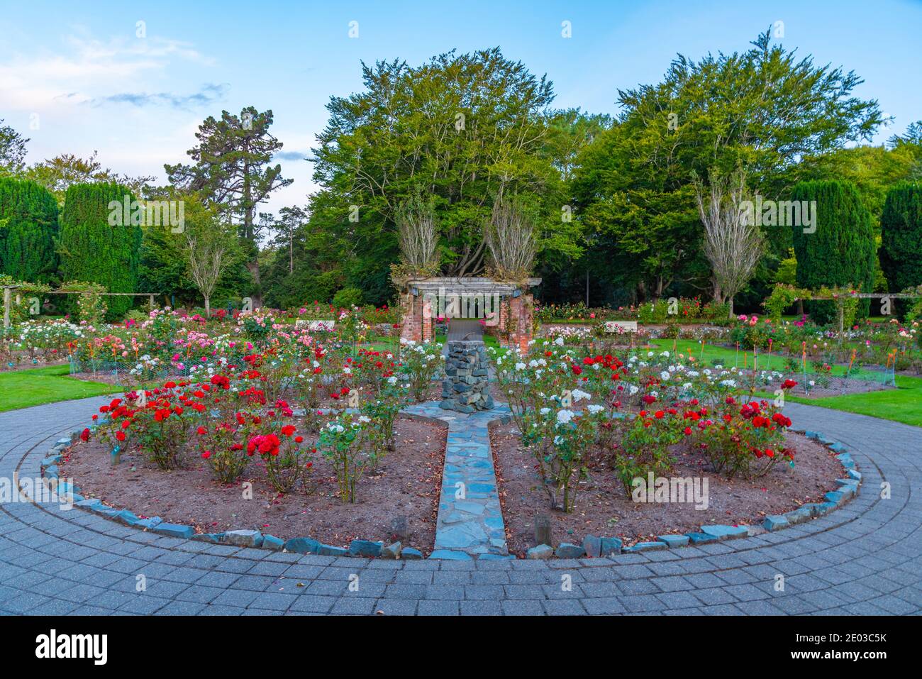 Rose garden at Queens park in Invercargill, New Zealand Stock Photo - Alamy