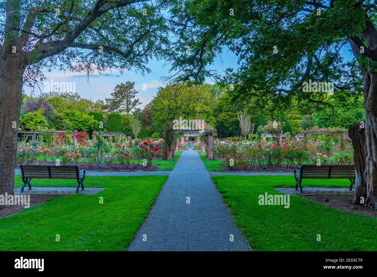 Rose garden at Queens park in Invercargill, New Zealand Stock Photo - Alamy