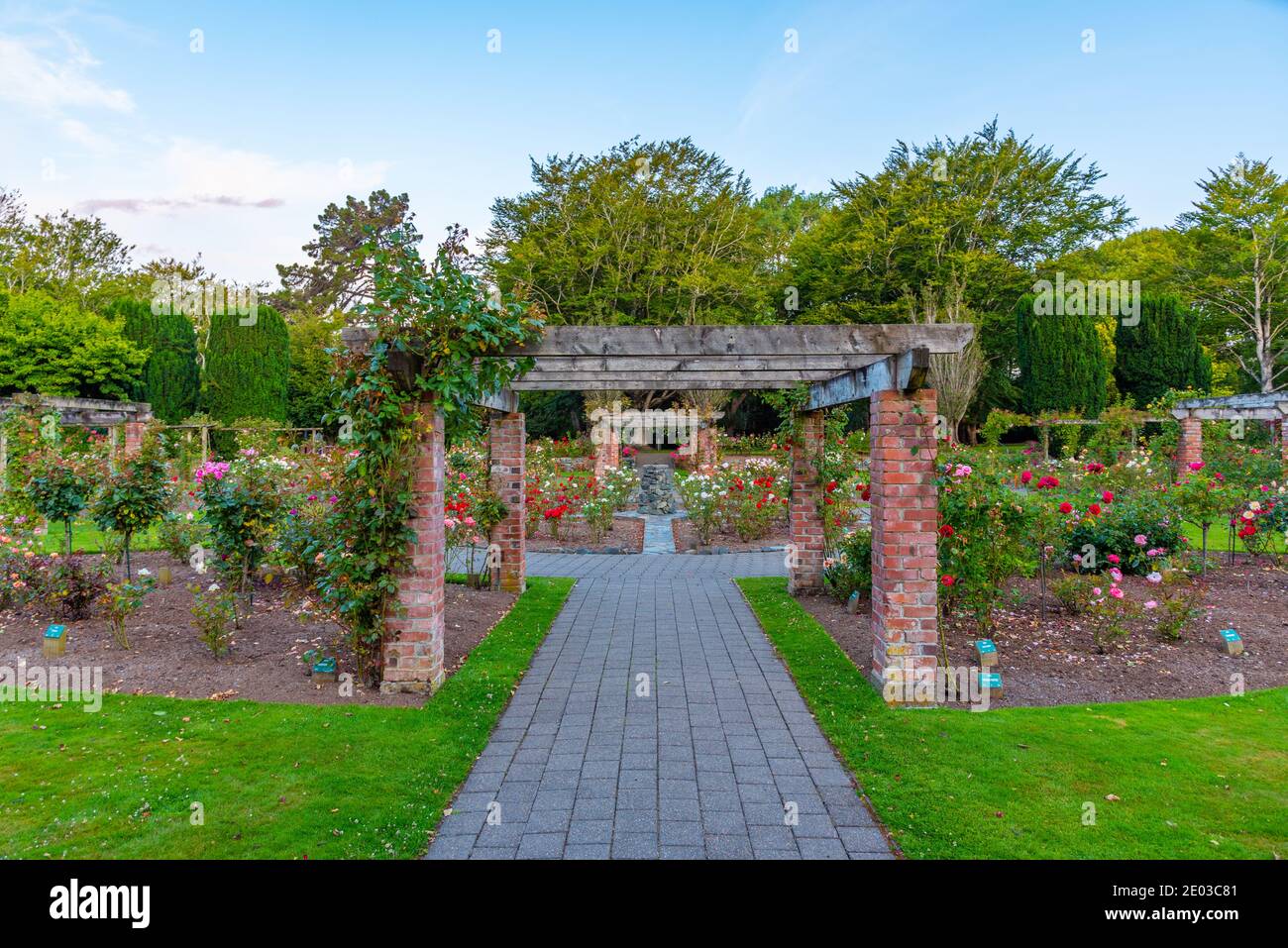 Rose garden at Queens park in Invercargill, New Zealand Stock Photo - Alamy