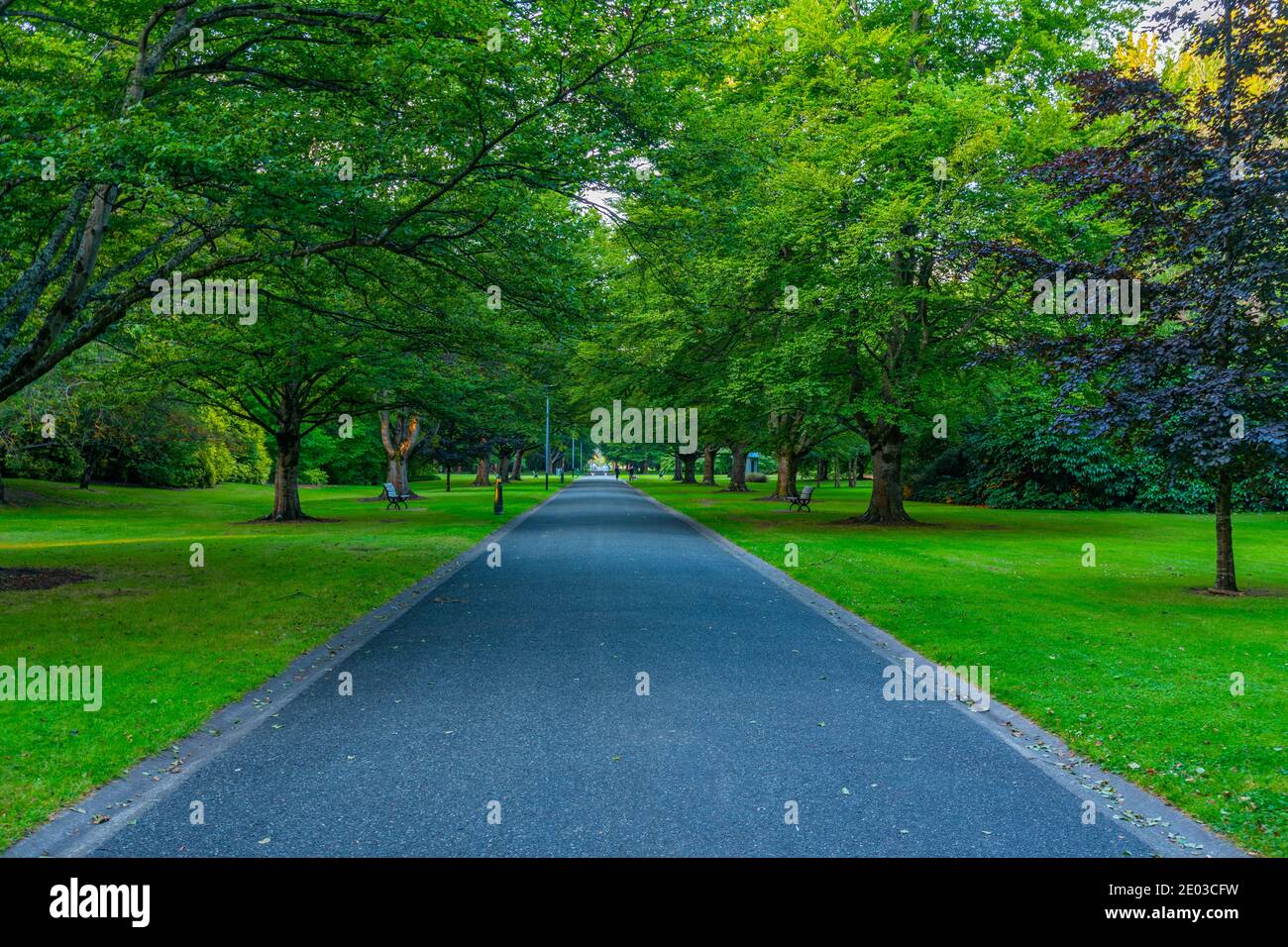 Queens park in Invercargill, New Zealand Stock Photo - Alamy
