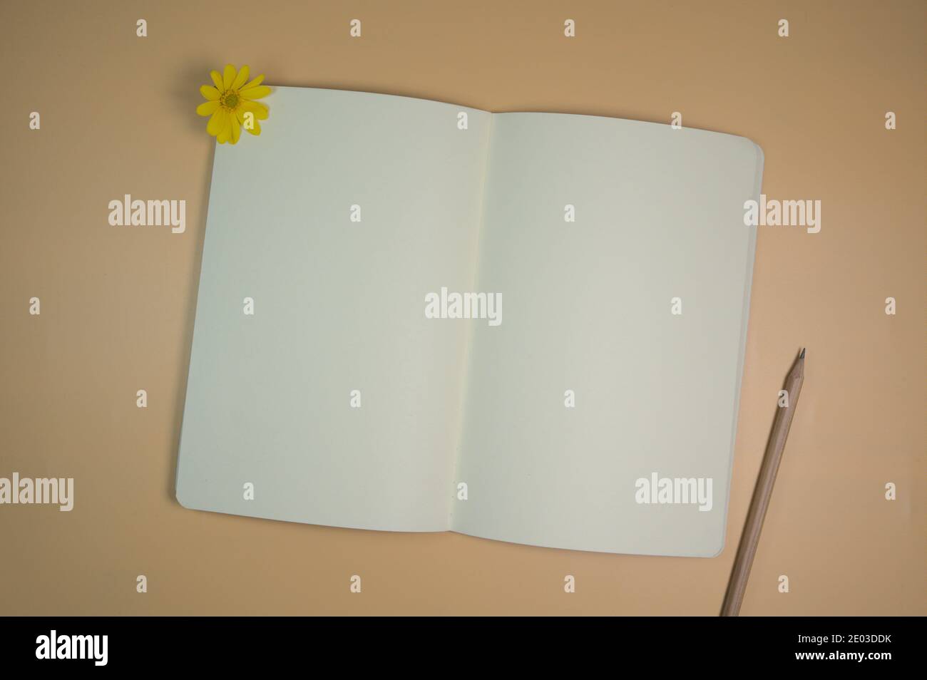 Open blank notebook and pencil on desk, blank for text, top view Stock ...