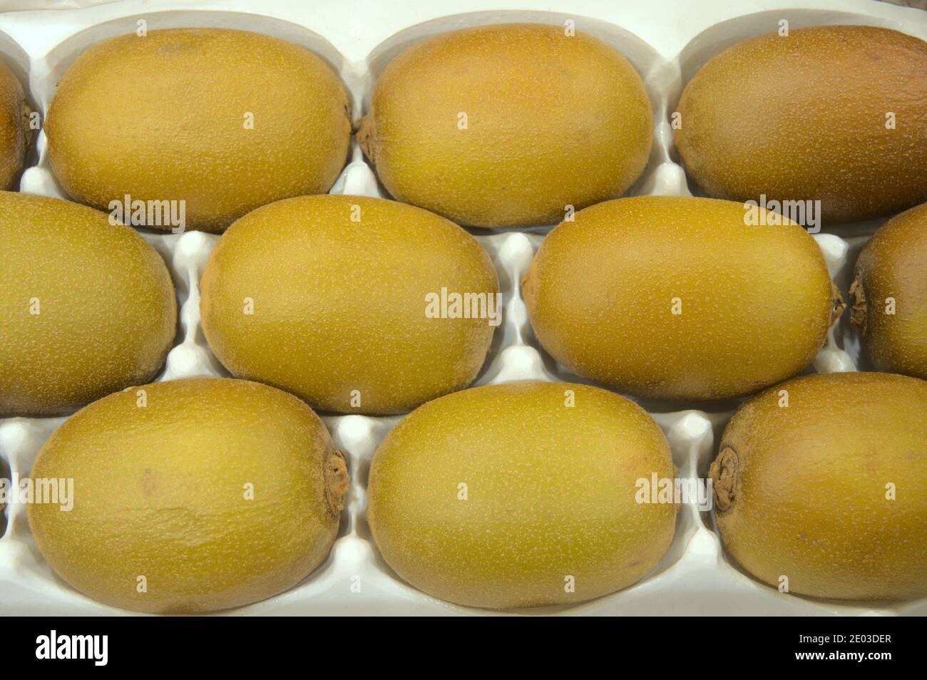 Top view of harvest kiwifruit, nutritious sweet organic kiwi, Chinese ...